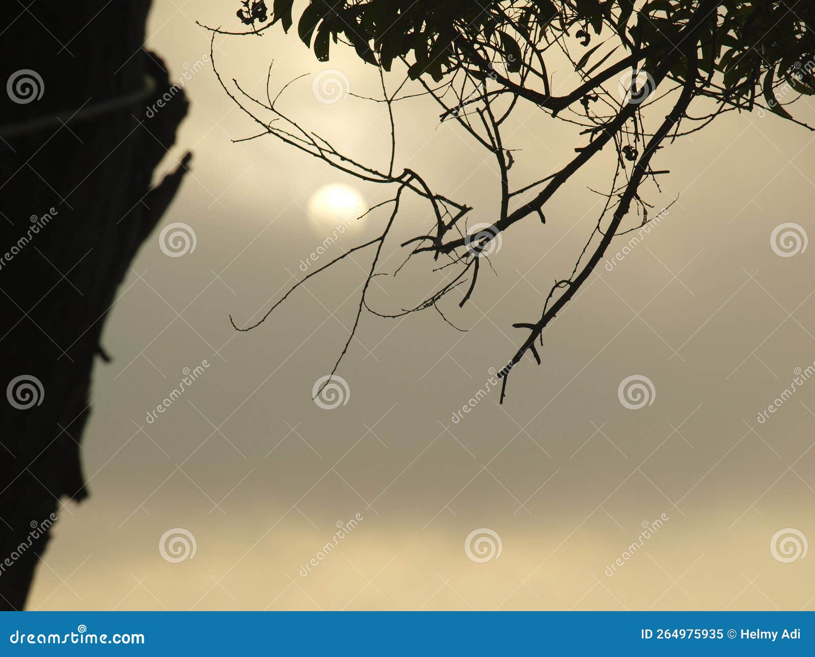 A Thin Mist Covering the Rising Sun Stock Image - Image of rising ...