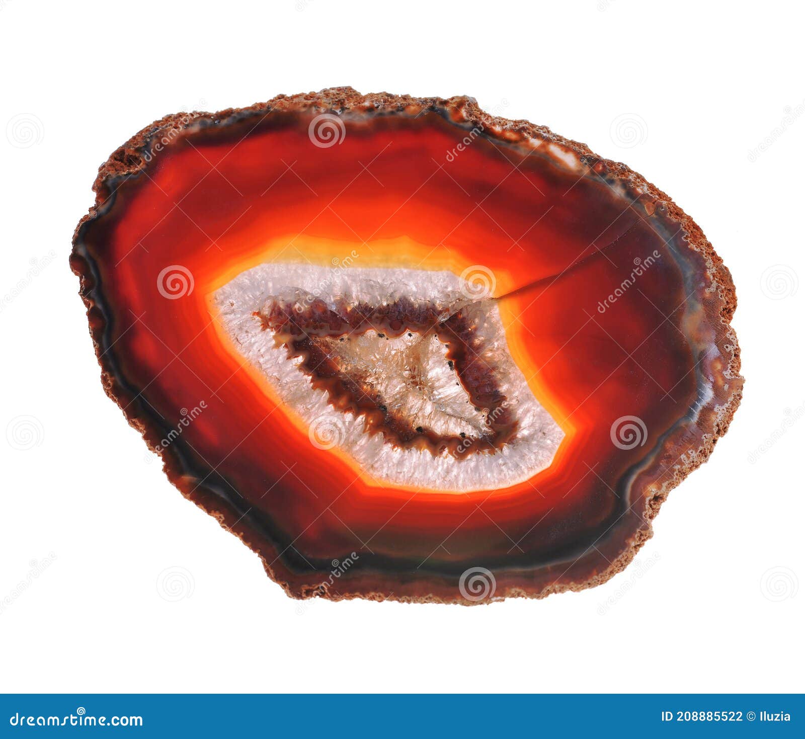 Thin Polished Red Slice of Agate Geodes with Concentric Layers Isolated ...