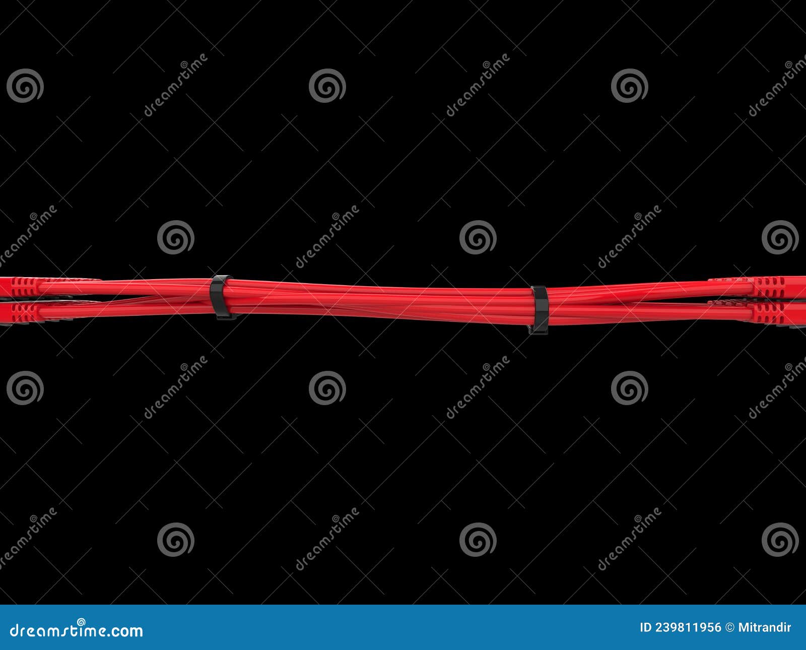Thin Red Network Cables Held Together with Black Plastic Bands Stock ...