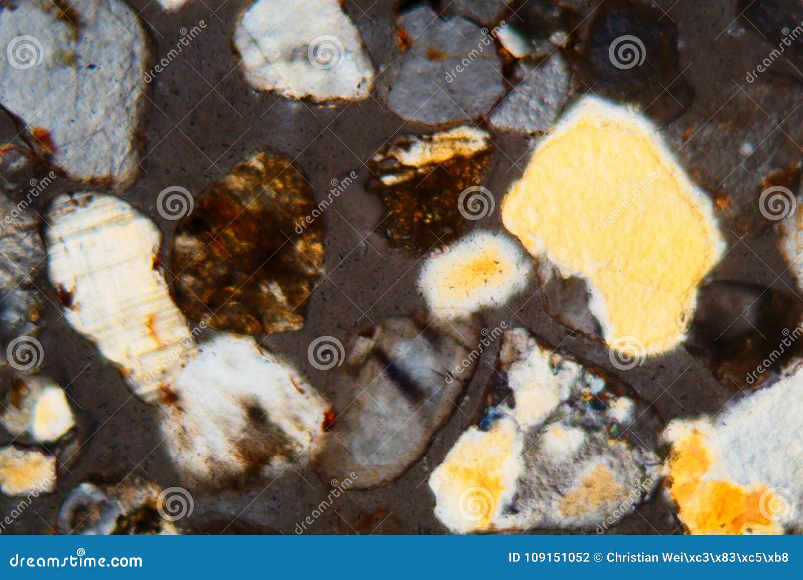 Desert Sand Under Microscope