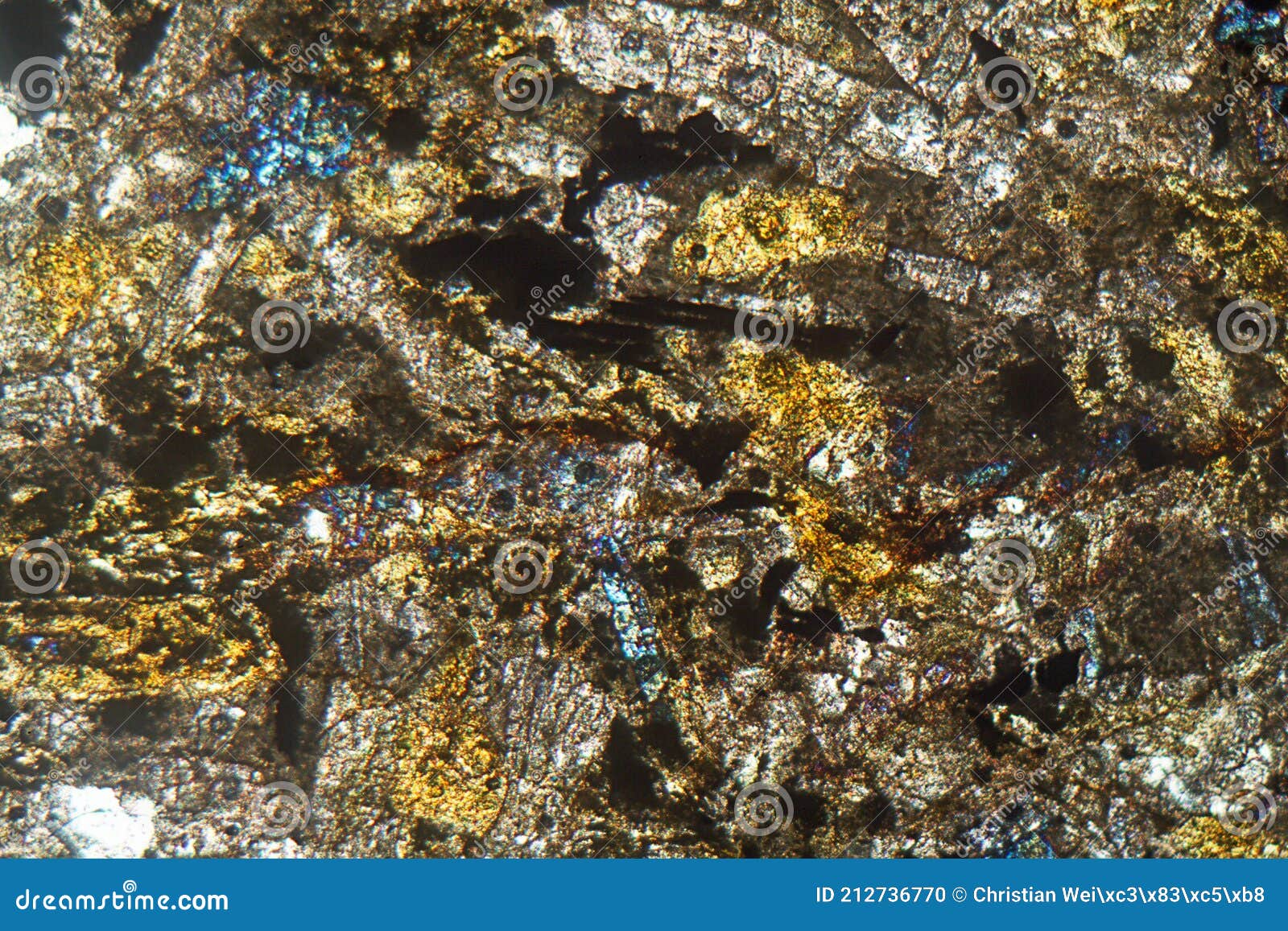 Thin Section of a Diabase Rock Under the Microscope and in Polarized ...