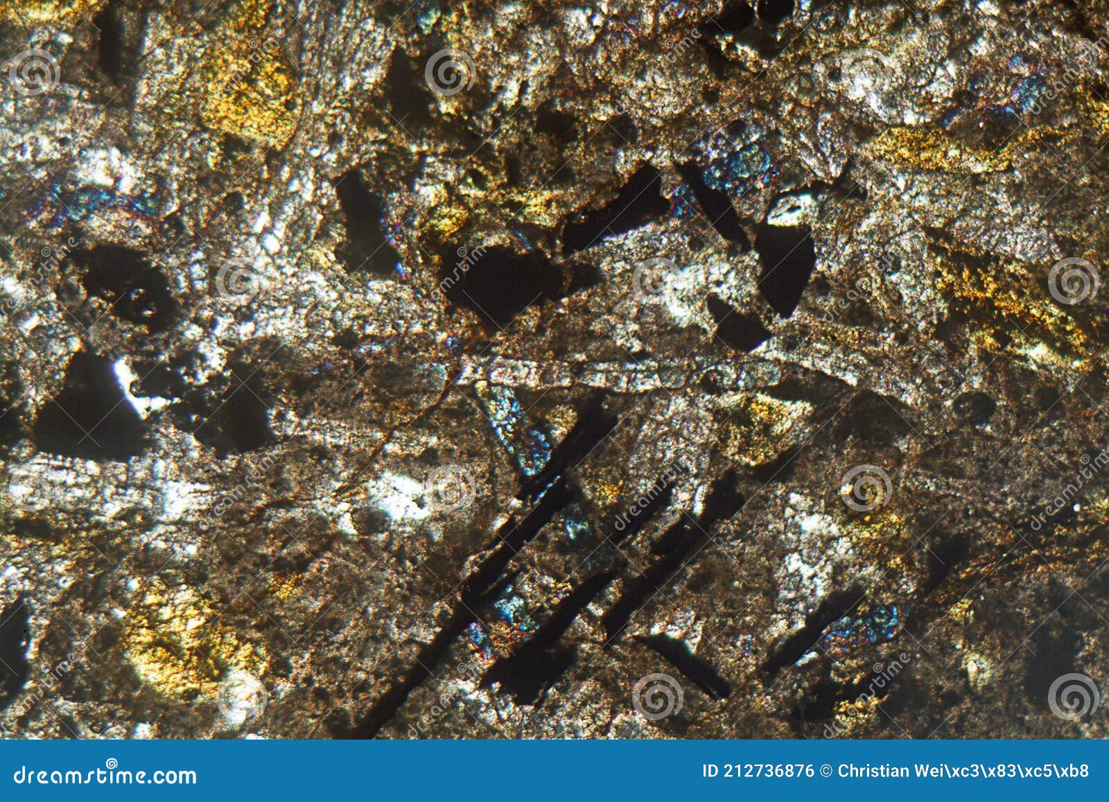 Thin Section of a Diabase Rock Under the Microscope and in Polarized ...