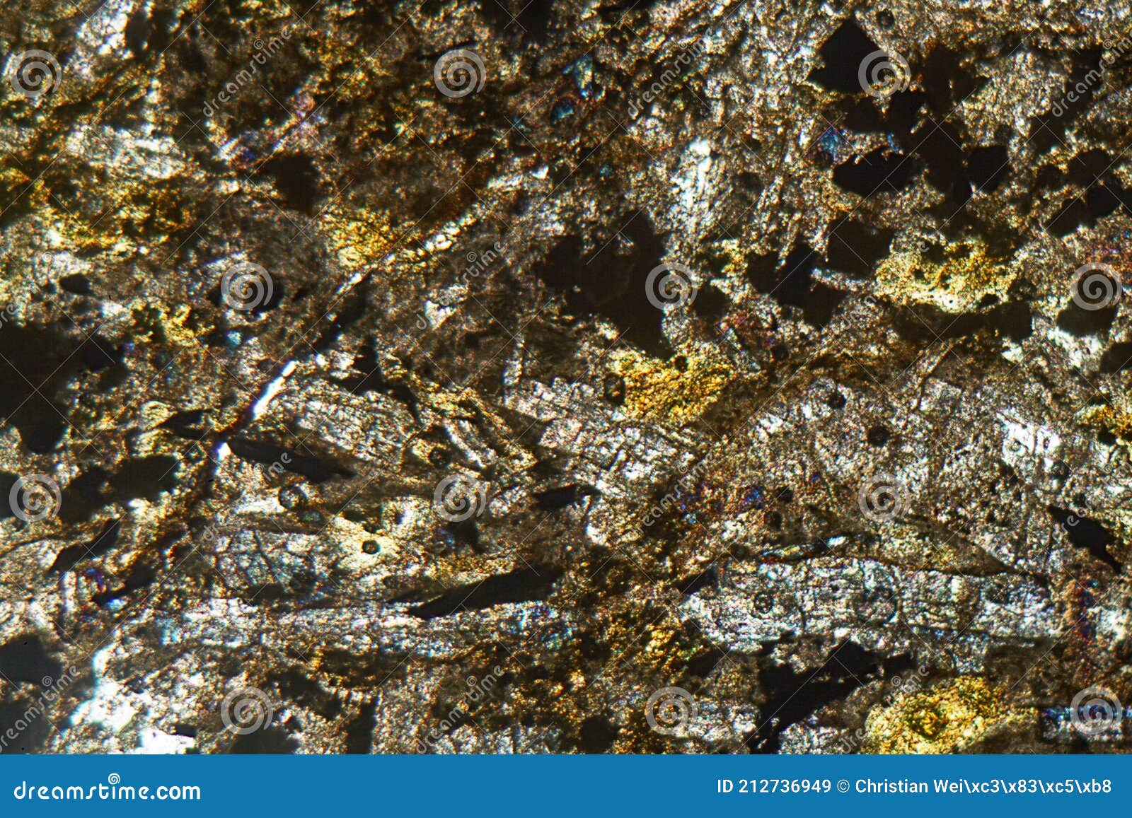 Thin Section of a Diabase Rock Under the Microscope and in Polarized ...