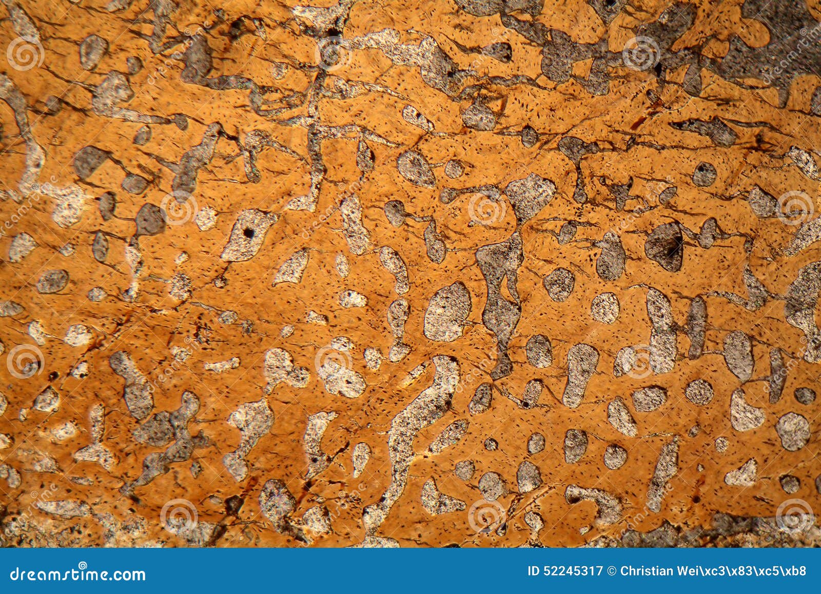 Thin Section Of A Brick Under The Microscope Stock Image ...