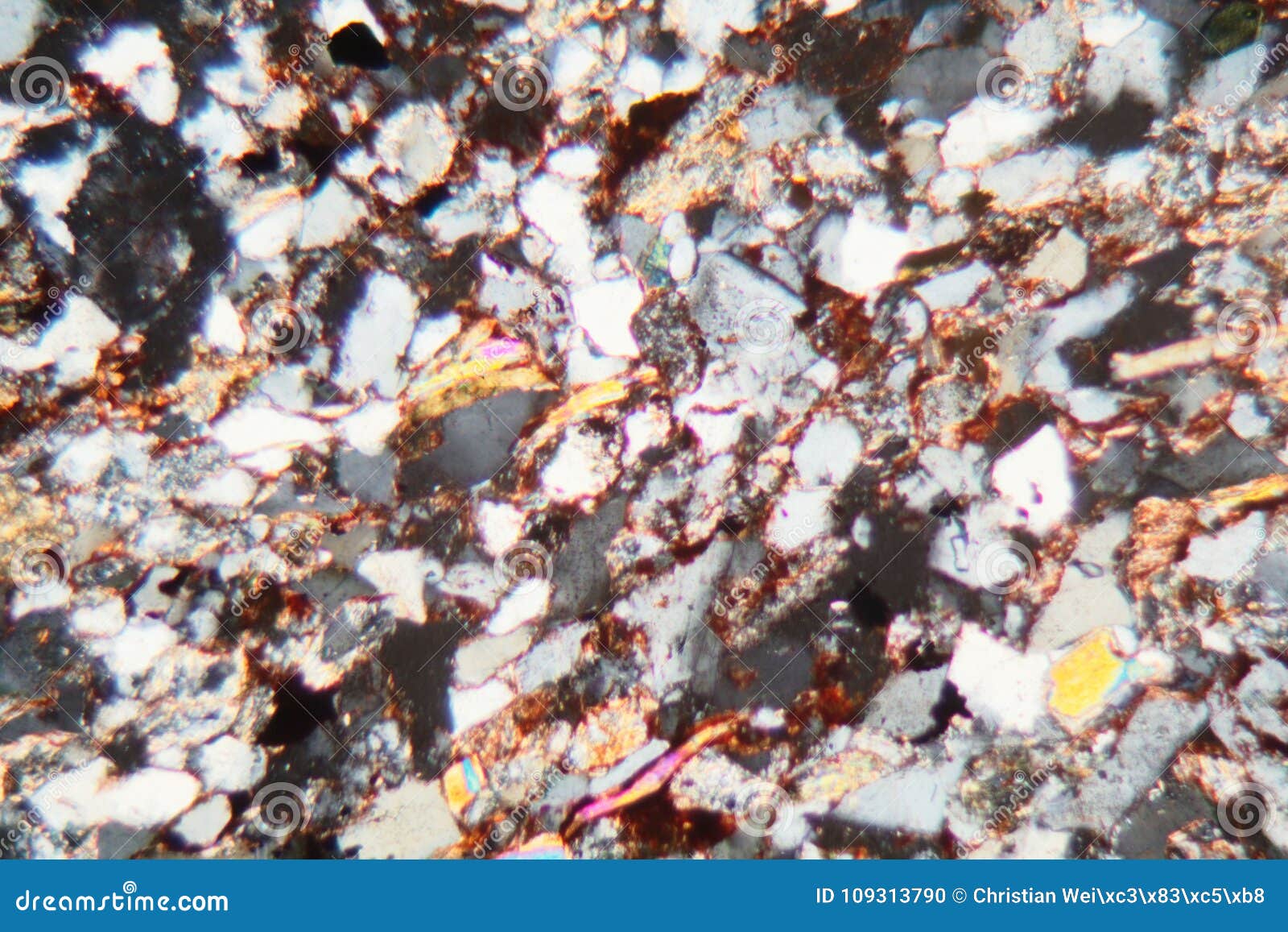 Thin Section of a Fine Grained Sandstone Under the Microscope and in ... Thin Section of a Fine Grained Sandstone Under the Microscope and in ...