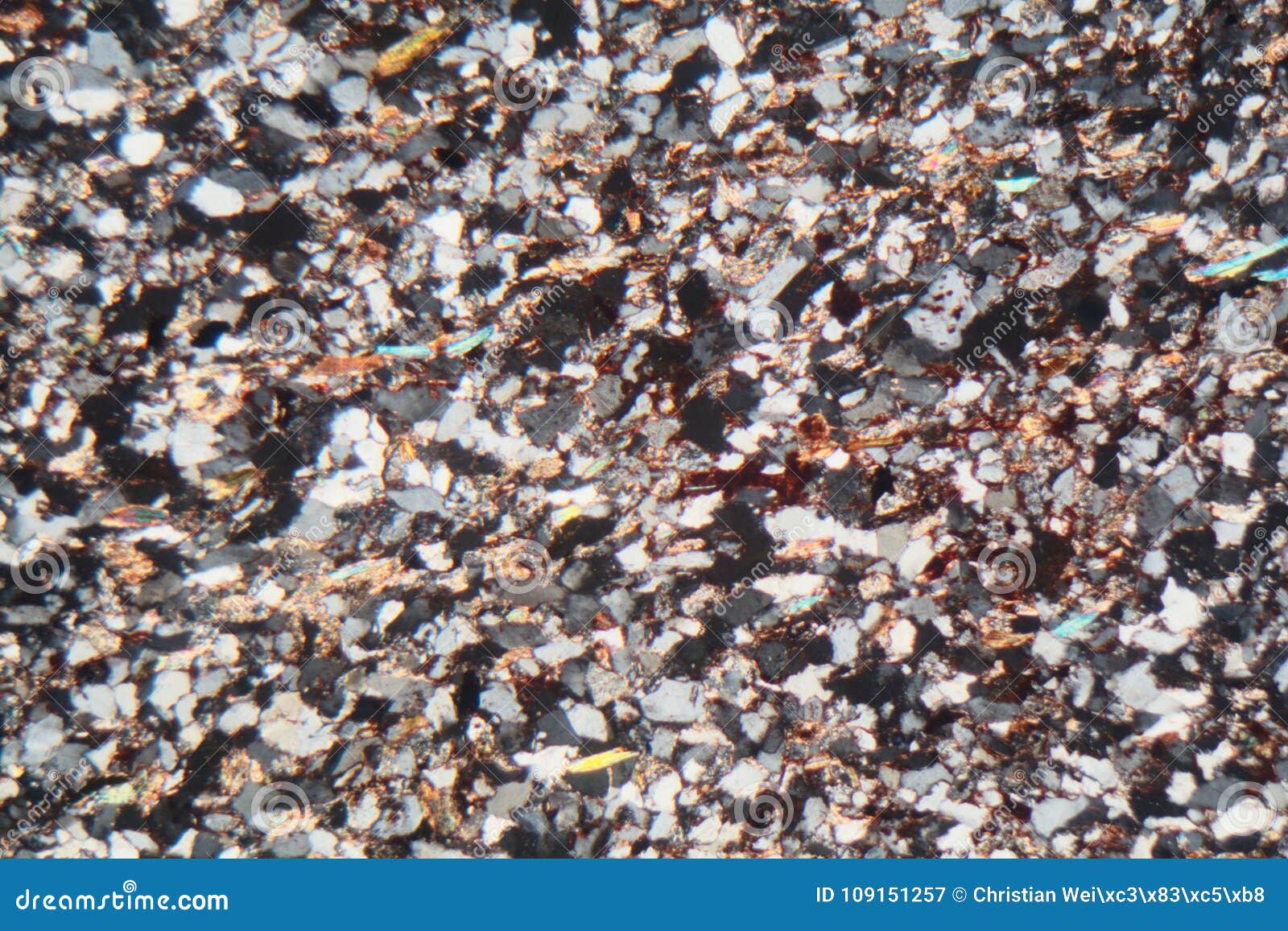 Thin Section of a Fine Grained Sandstone Under the Microscope and in ... Thin Section of a Fine Grained Sandstone Under the Microscope and in ...