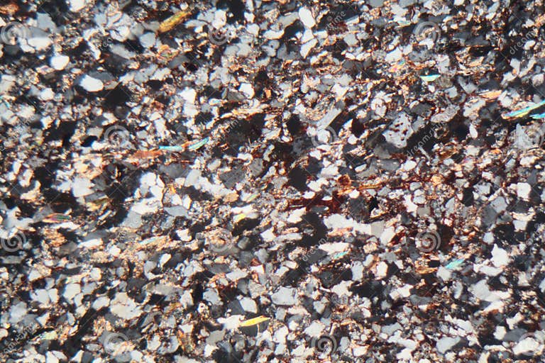 Thin Section of a Fine Grained Sandstone Under the Microscope and in ...