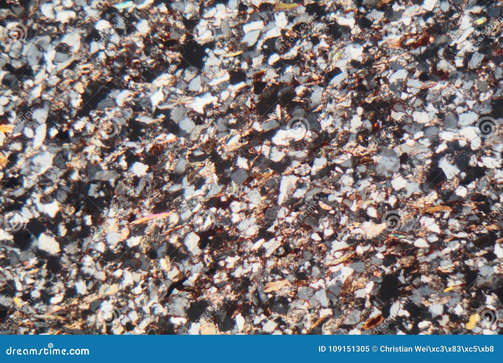 Thin Section of a Fine Grained Sandstone Under the Microscope and in ... Thin Section of a Fine Grained Sandstone Under the Microscope and in ...