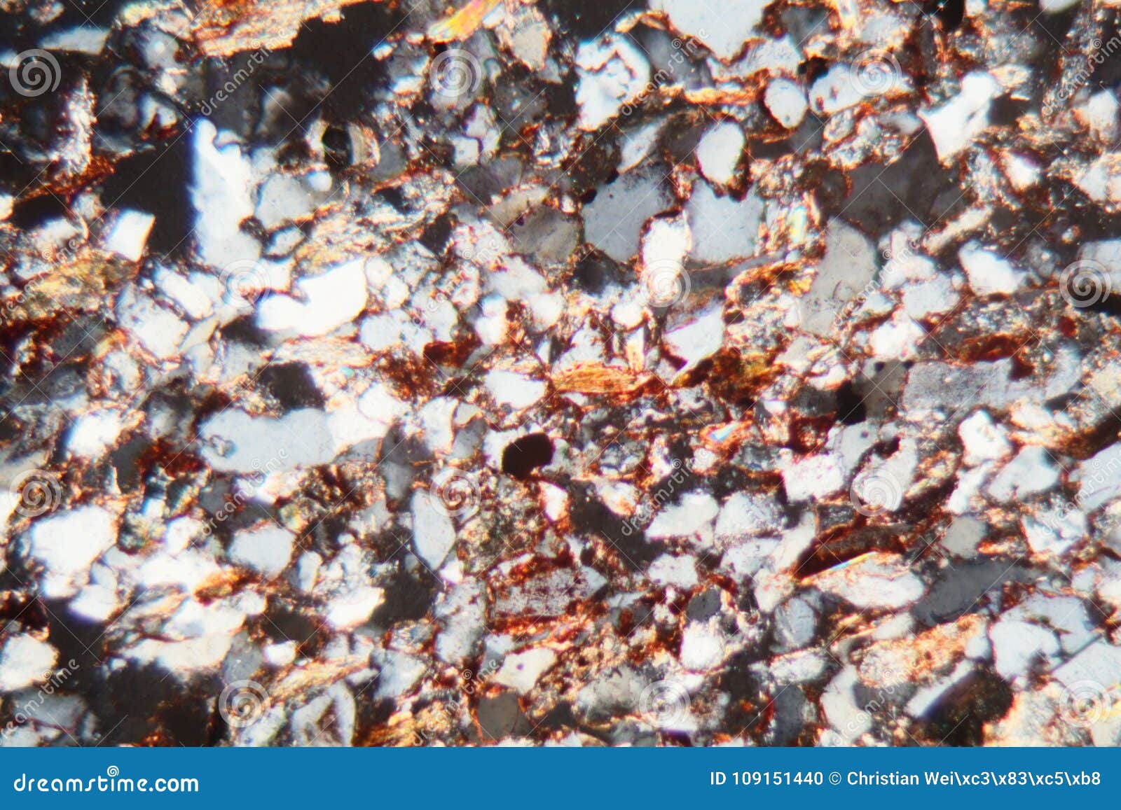 Thin Section of a Fine Grained Sandstone Under the Microscope and in ... Thin Section of a Fine Grained Sandstone Under the Microscope and in ...