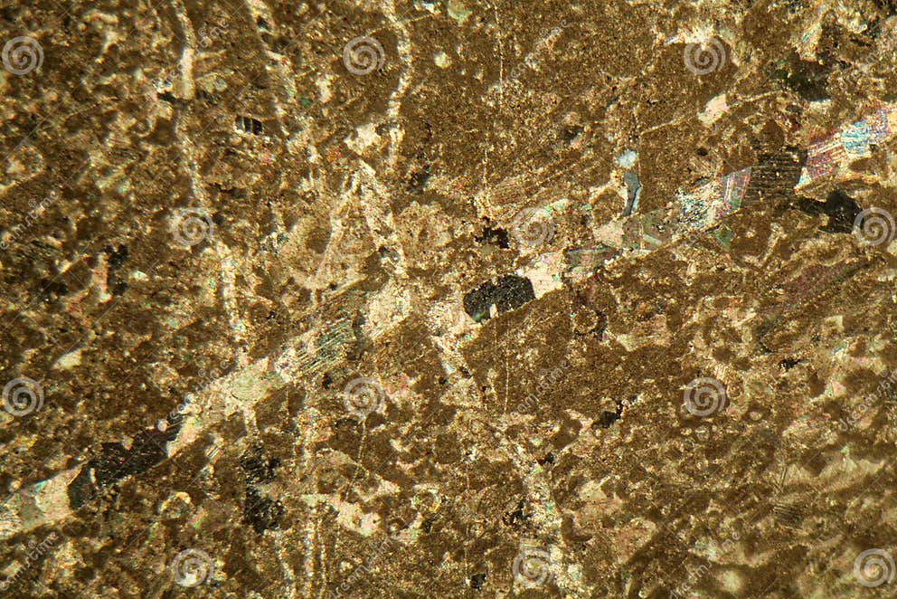 Thin Section of Limestone Under the Microscope Stock Photo - Image of ...