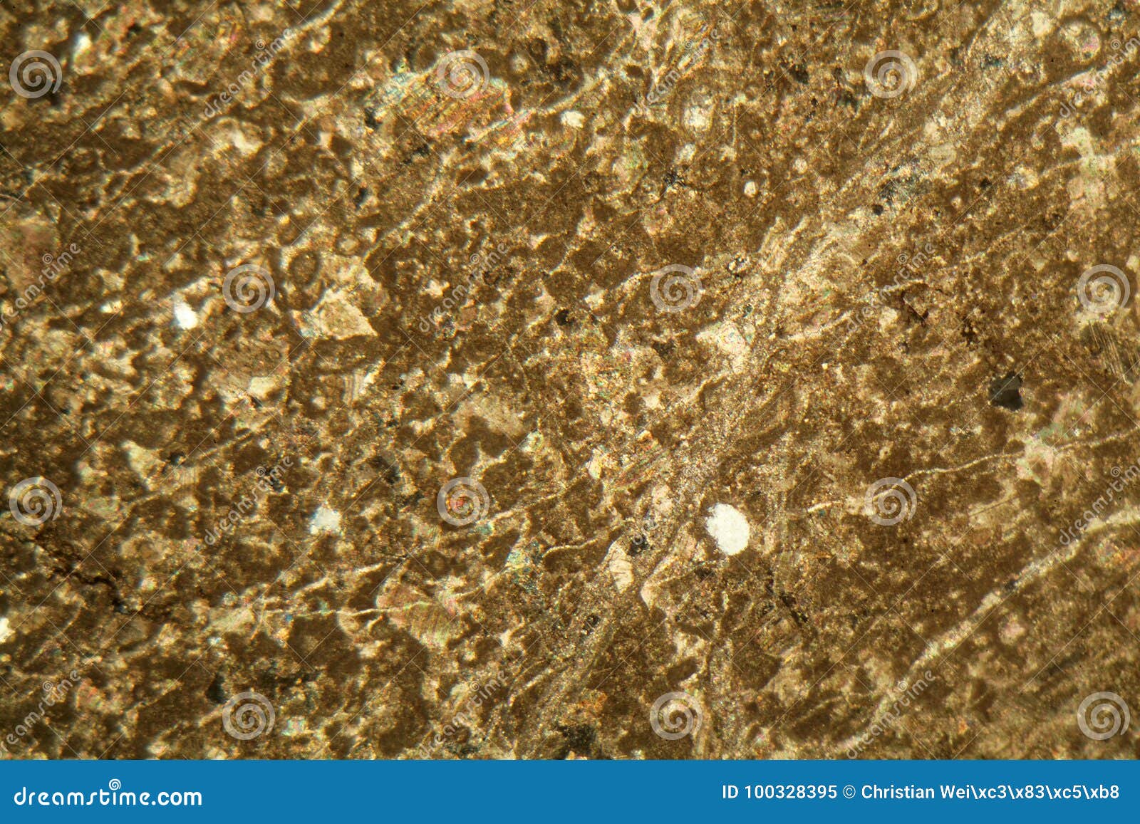 Thin Section of Limestone Under the Microscope Stock Image - Image of ...