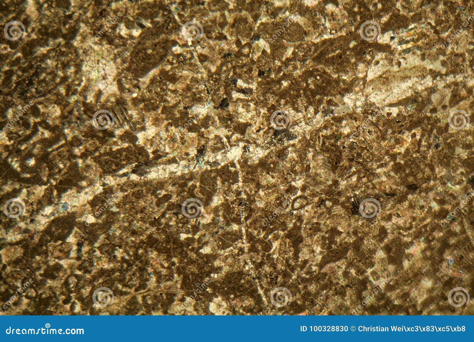 Thin Section of Limestone Under the Microscope Stock Photo - Image of ...