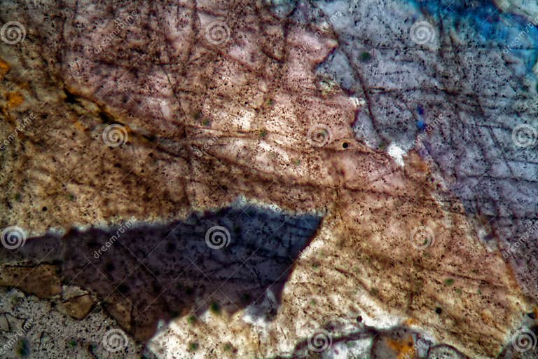 Thin Section of Quartz Crystals Under the Microscope Stock Image ...