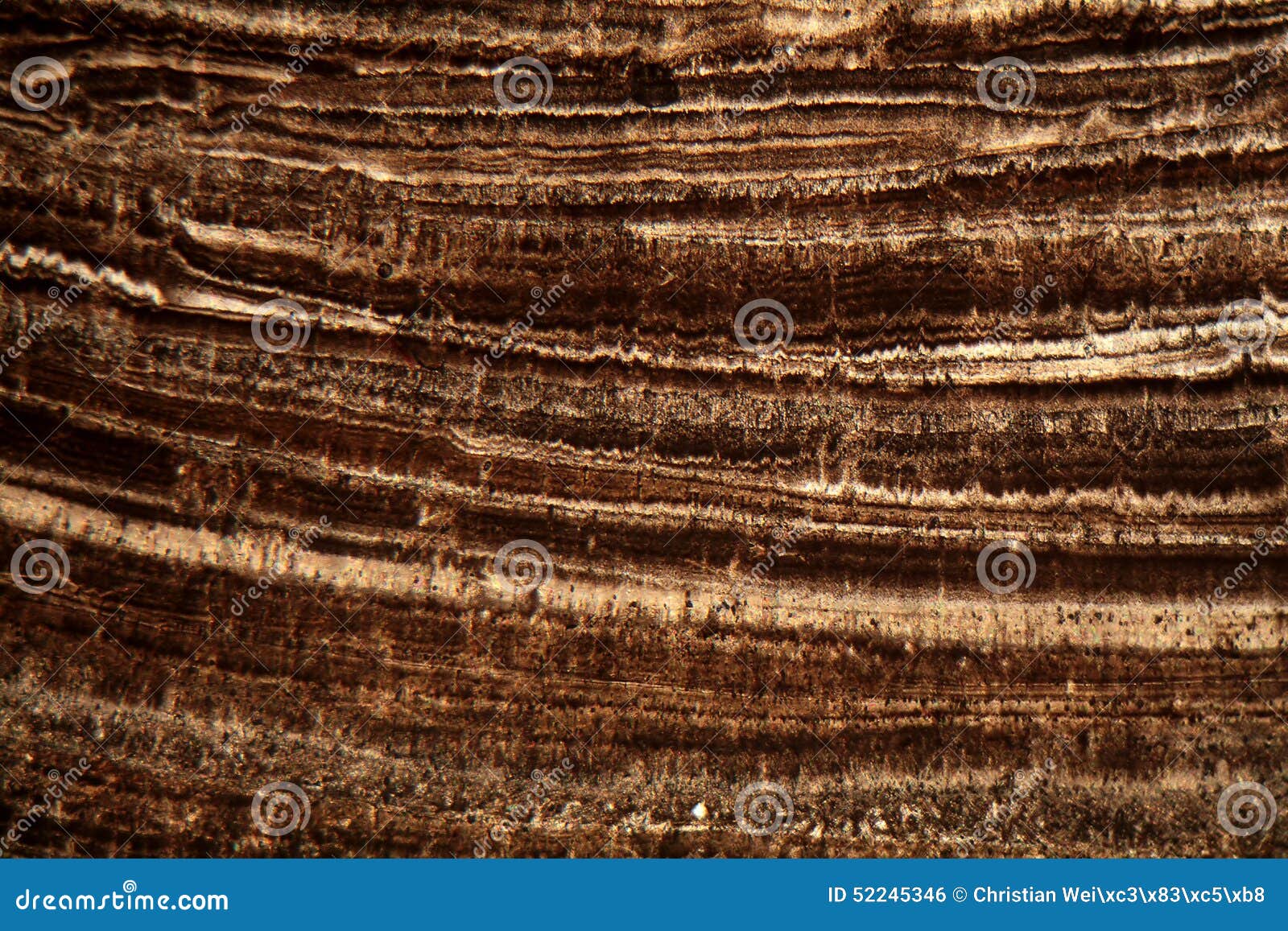Thin Section Of A Brick Under The Microscope Stock Image ...