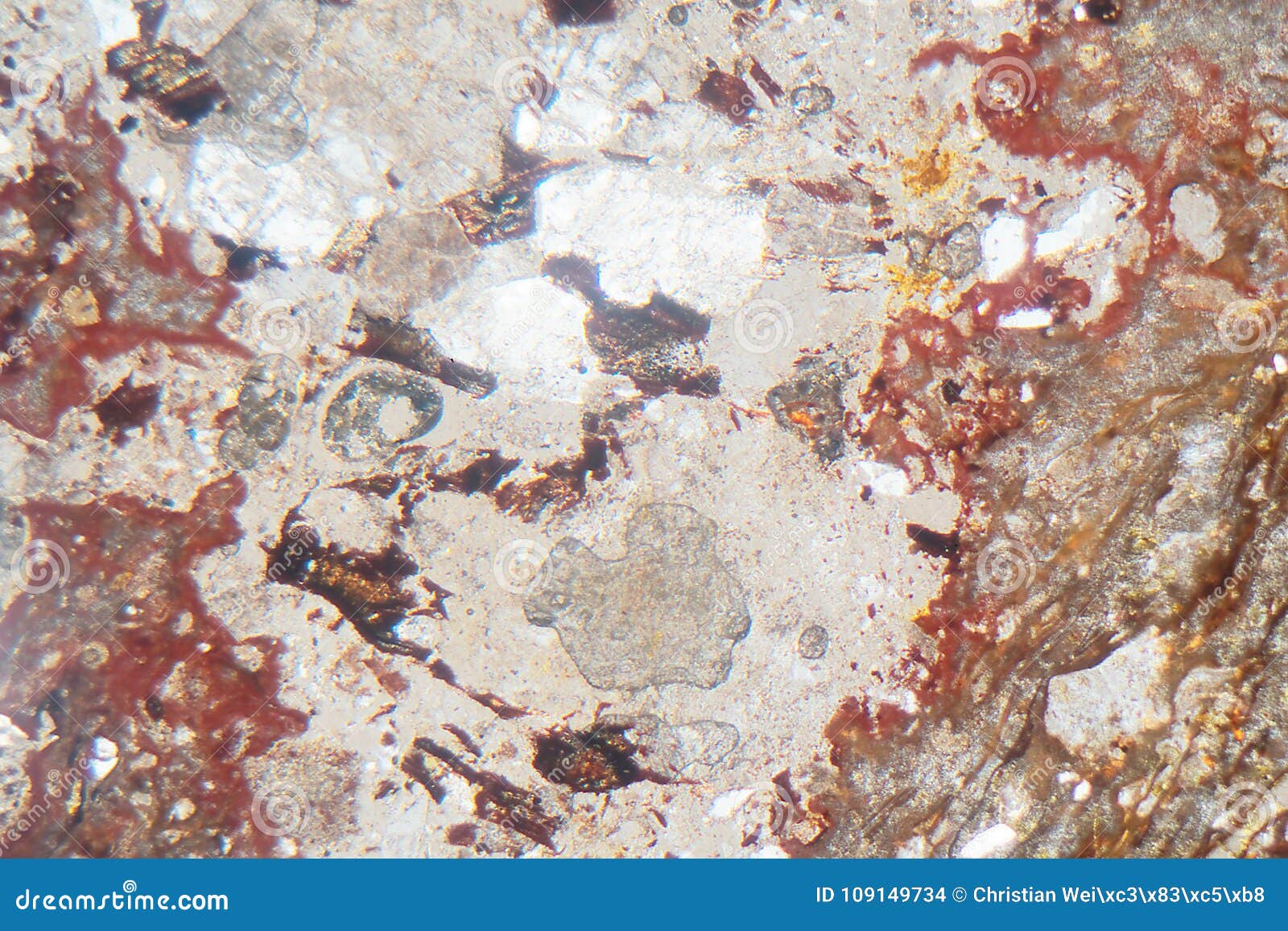 Thin Section of Suevite Rock Under the Microscope and in Polarized ...