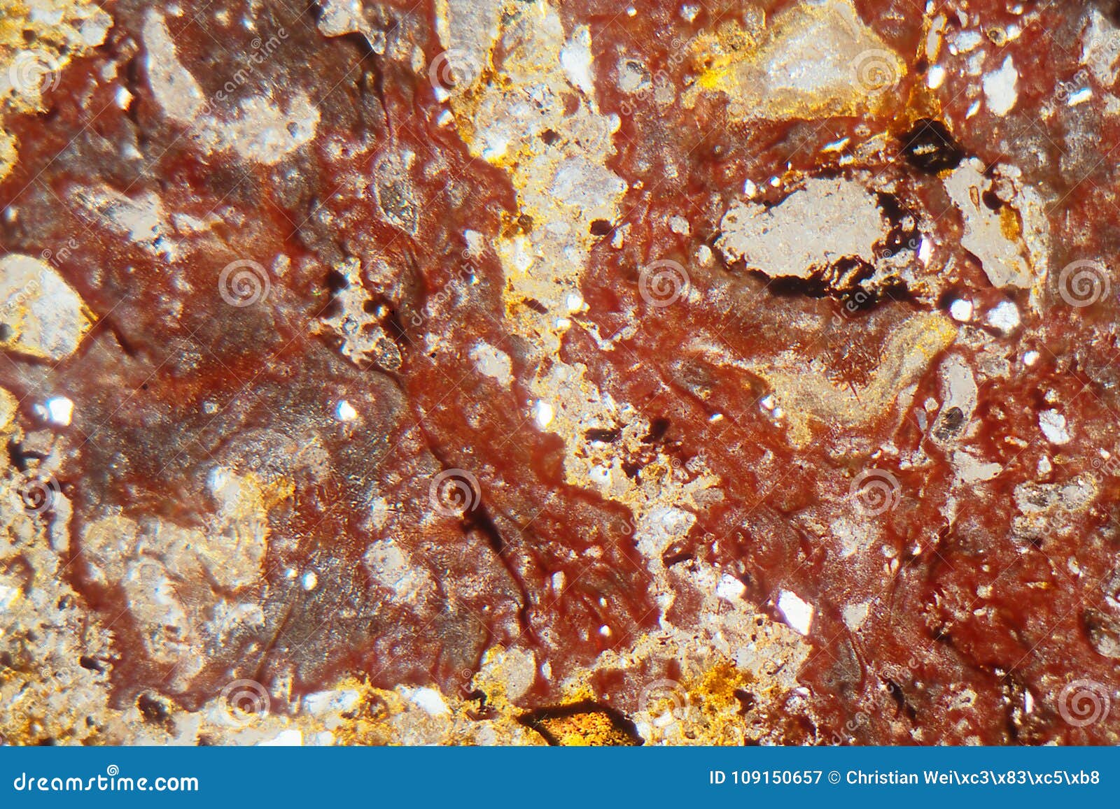Thin Section of Suevite Rock Under the Microscope and in Polarized ...
