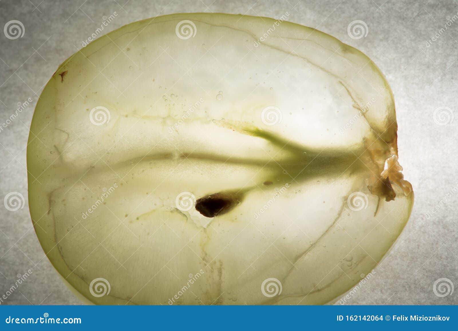 Thin Slice Cross Section of a Grape with Seeds Stock Photo - Image of ...