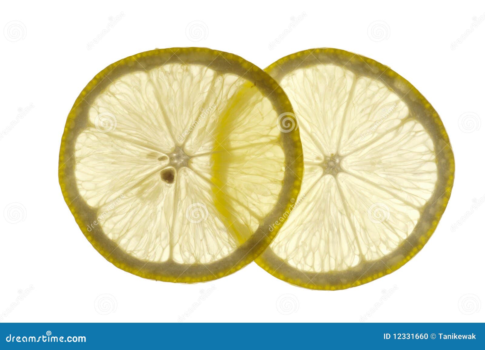 Thin slices of lemon stock photo. Image of ripe, white - 12331660