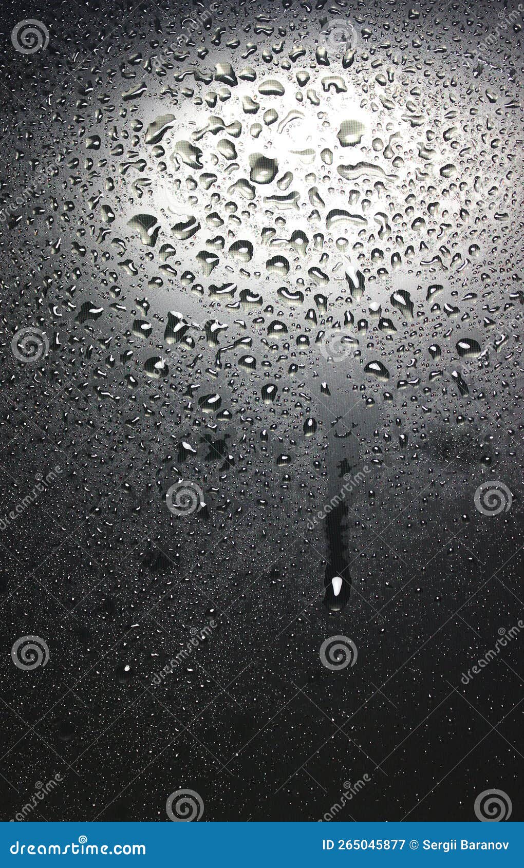Thin Square Grid Structure in Water Drops on Matt Black Surface Stock ...