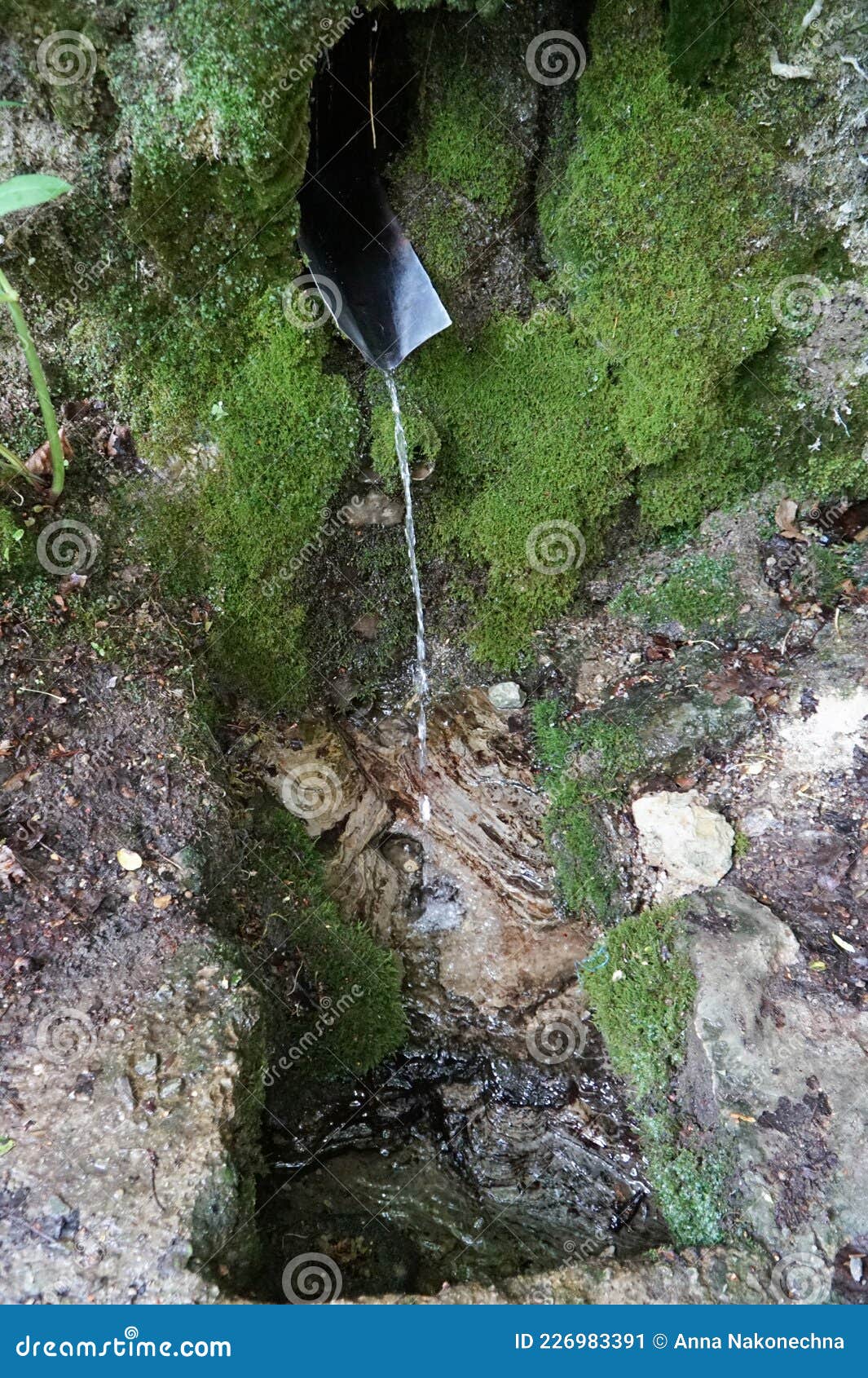A Thin Stream of Spring Flows from the Ground. Stock Image - Image of ...