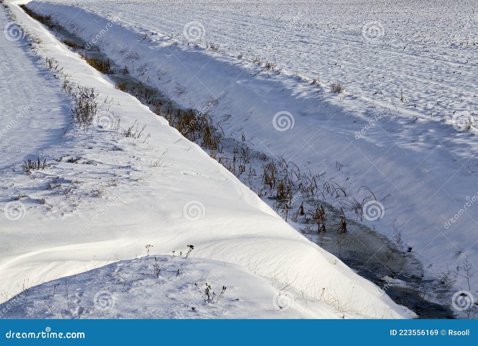 Thin stream stock image. Image of season, freeze, nature - 223556169