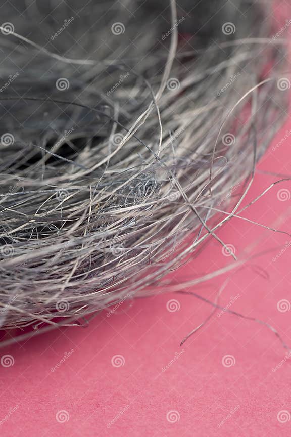 Thin Threads without a Needlework Mold Stock Image - Image of craft ...