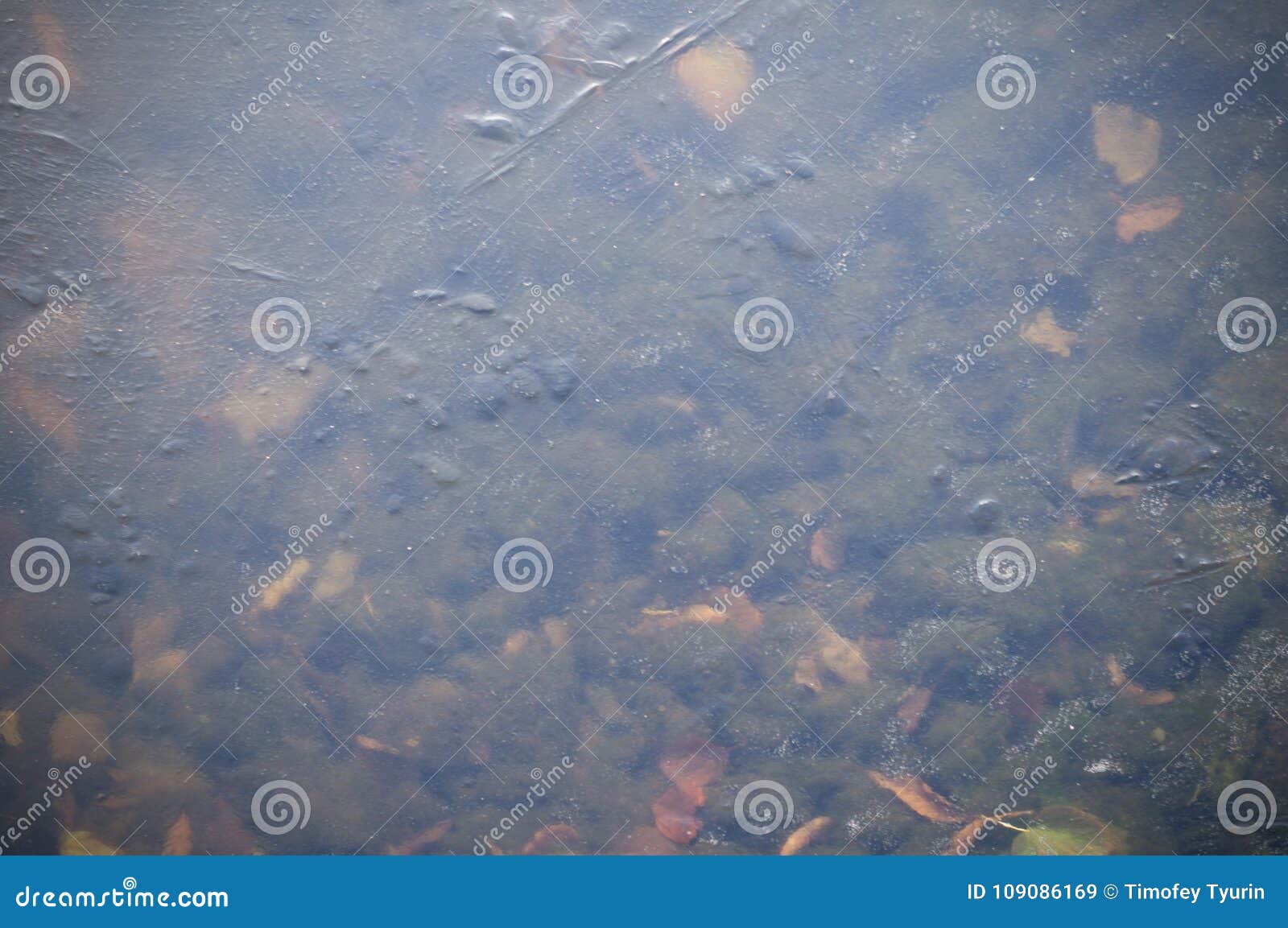Transparent Ice on the Lake at Late Autumn. Vignette, Texture ...