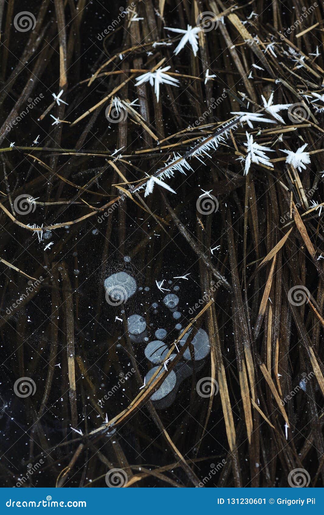 Thin Transparent Ice on the Surface of the Reservoir in Late Autumn ...
