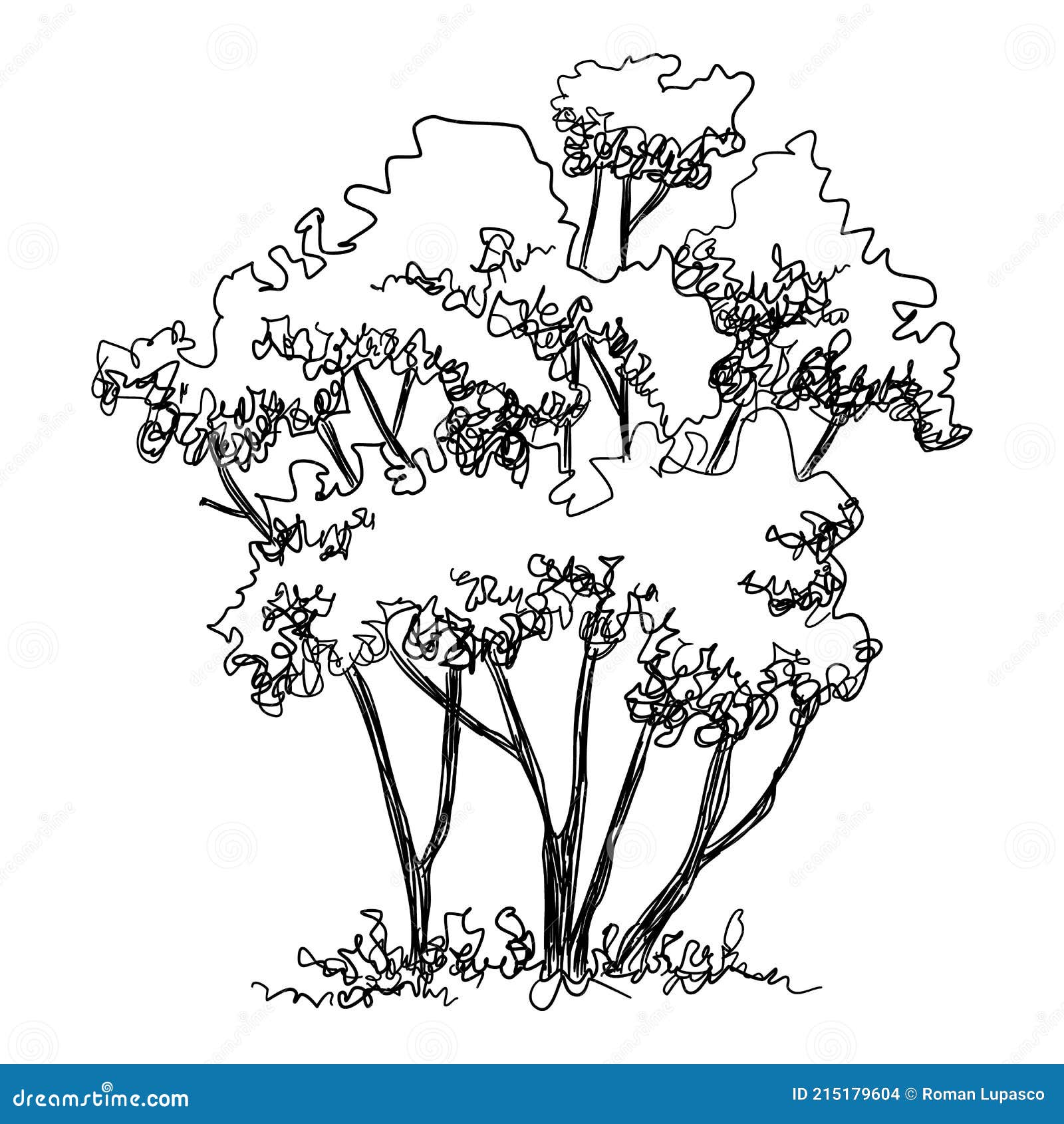 Thin Tree Icon, Hand Drawn and Outline Style Stock Vector ...