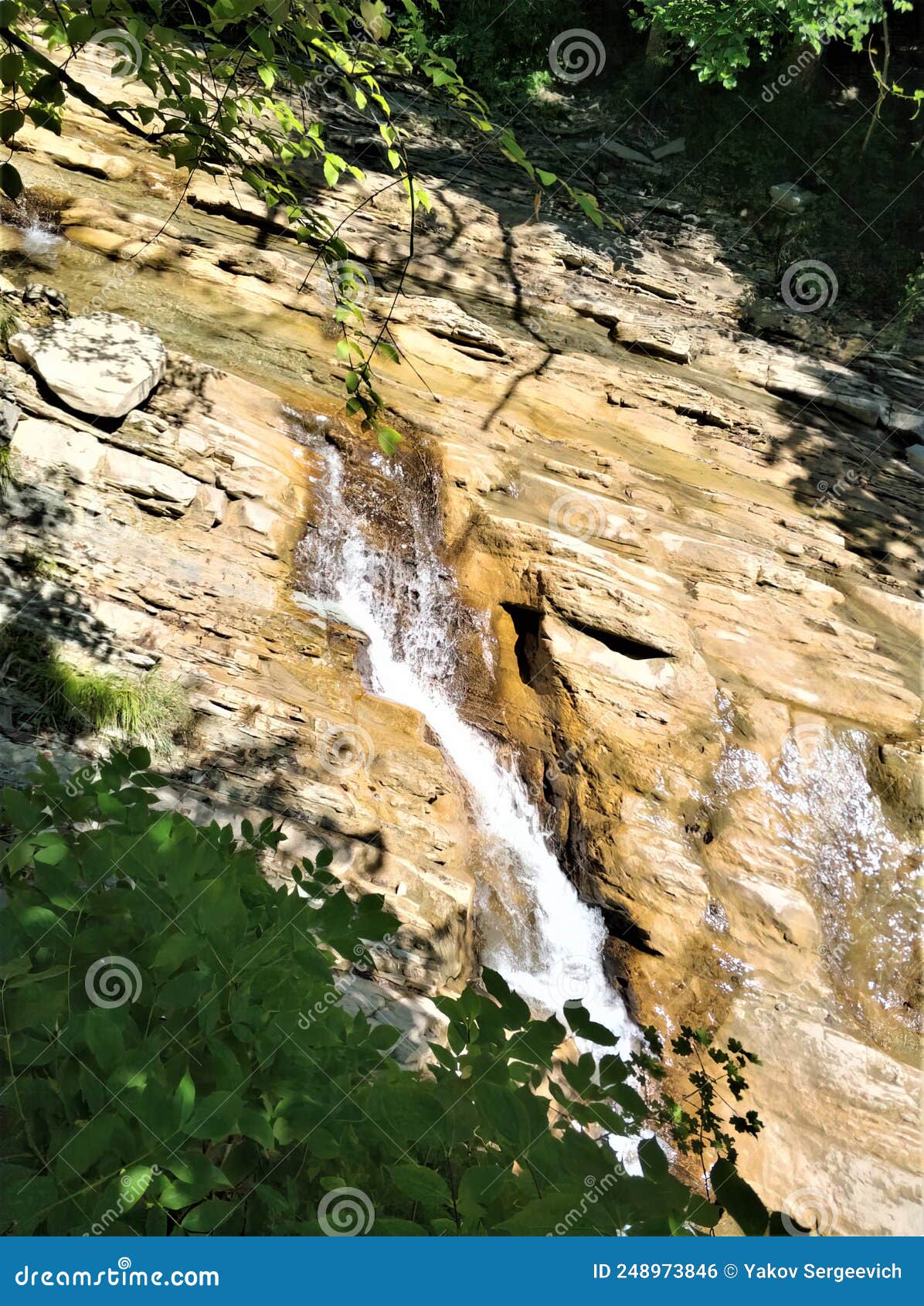 Waterfall in the Mountains with Plants Stock Photo - Image of flow ...