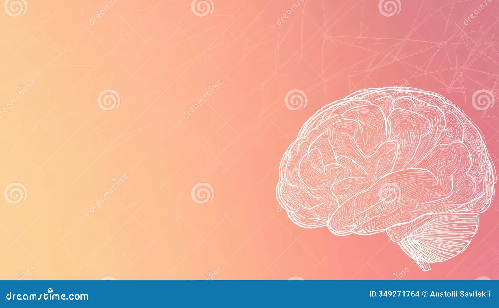 A Thin White Line Drawing of a Brain on a Soft Gradient Background ...