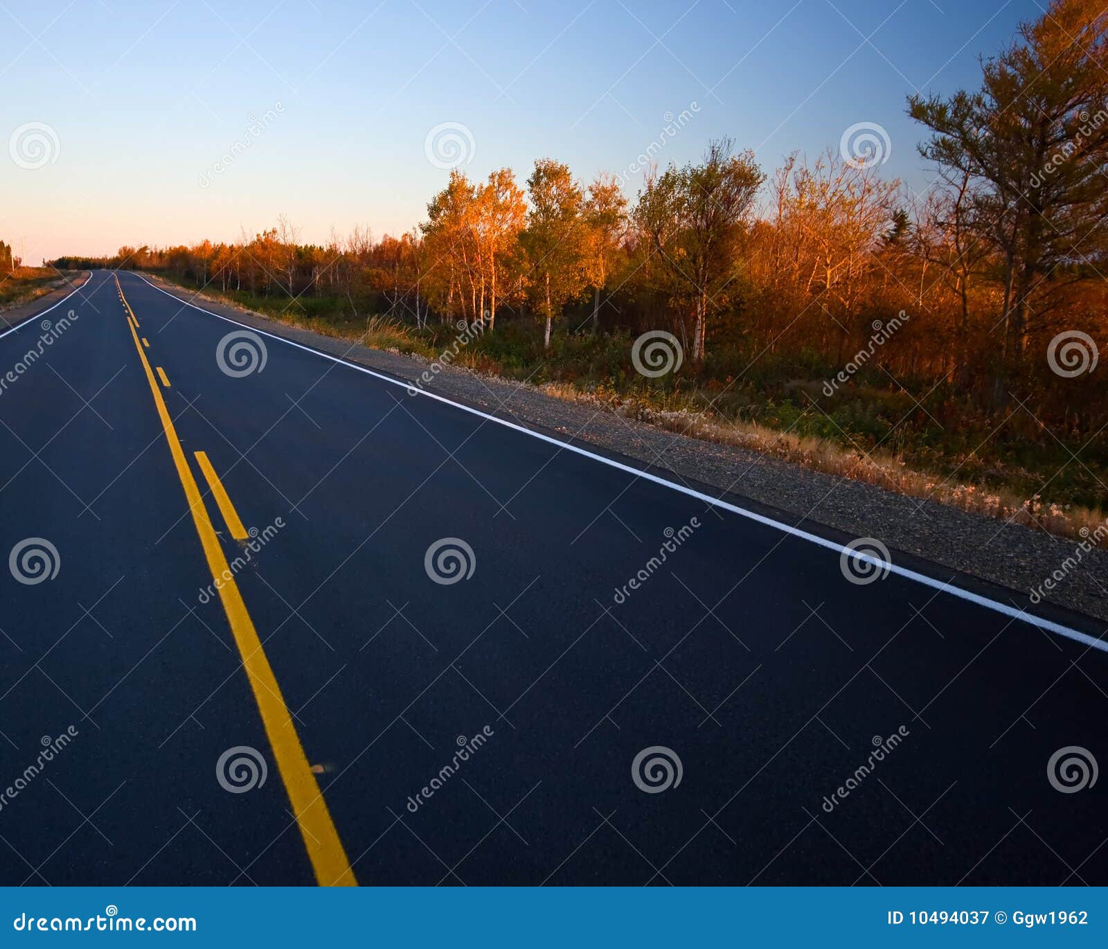 Thin Yellow Line stock image. Image of lonely, black - 10494037