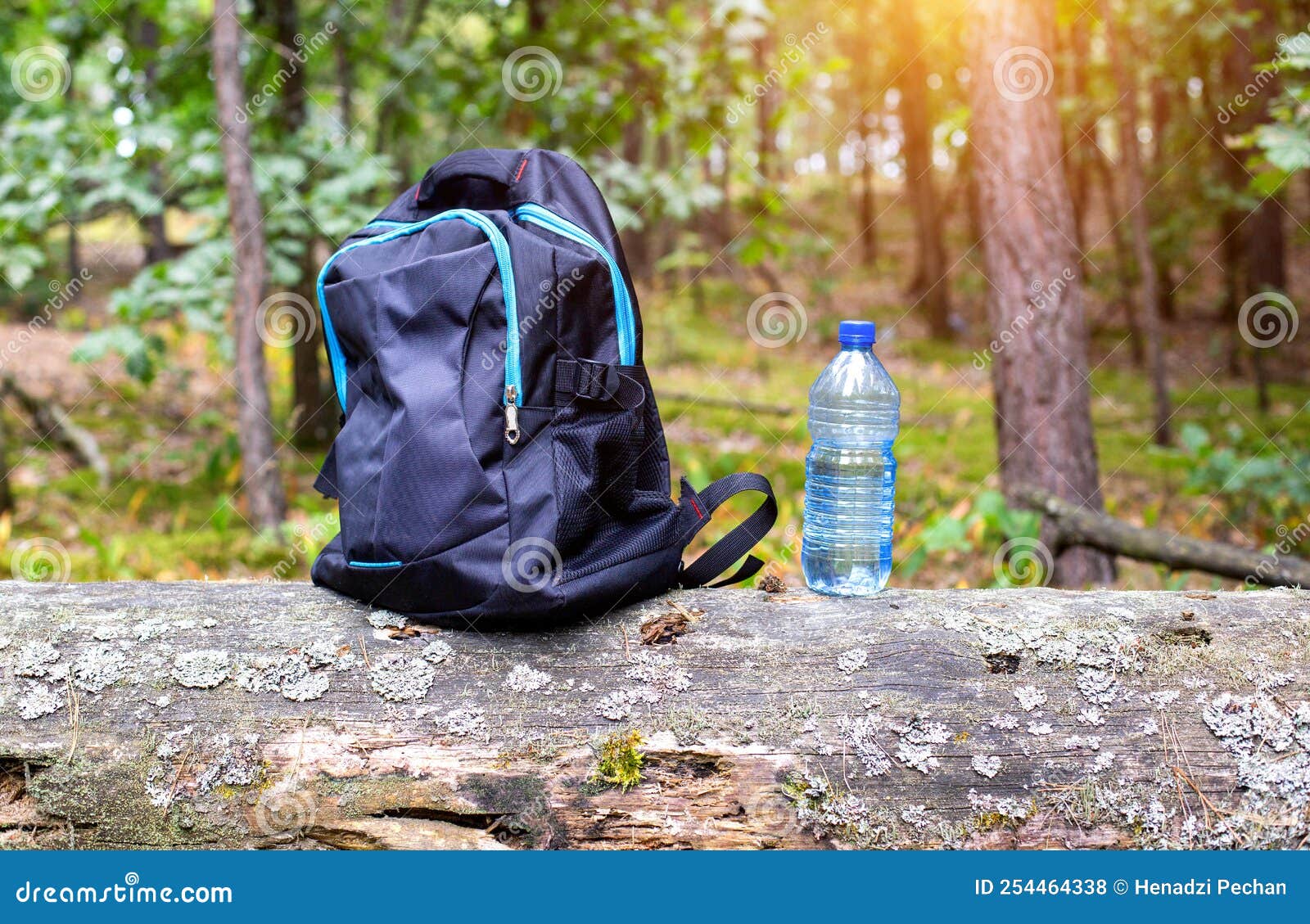 Things in a Backpack and a Bottle of Water are on a Tree in the Forest ...