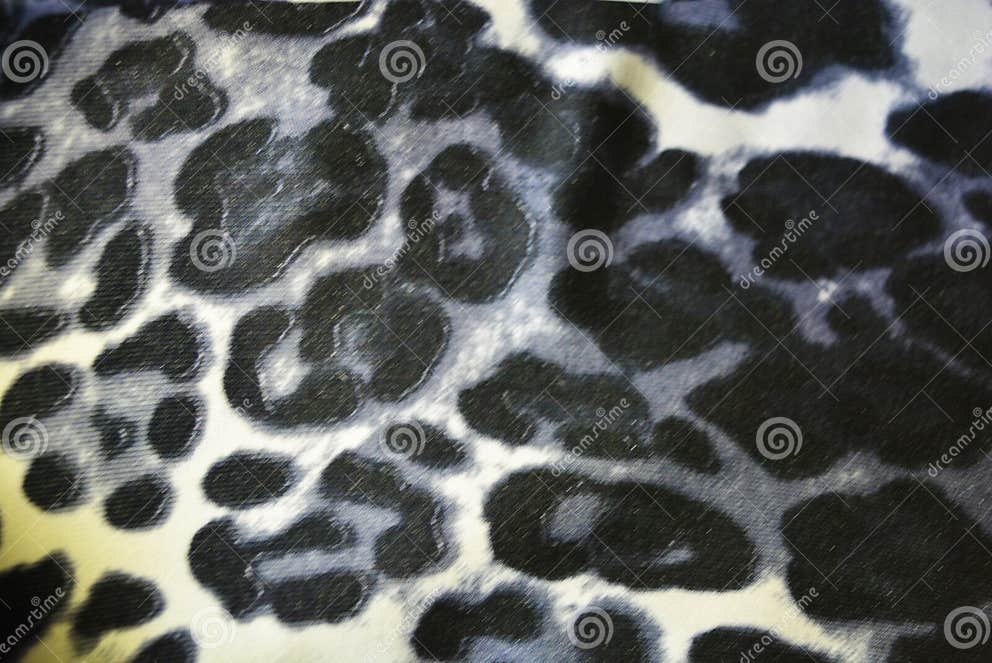 Things, Objects with Unusual. Beautiful Leopard Black and White Spots ...