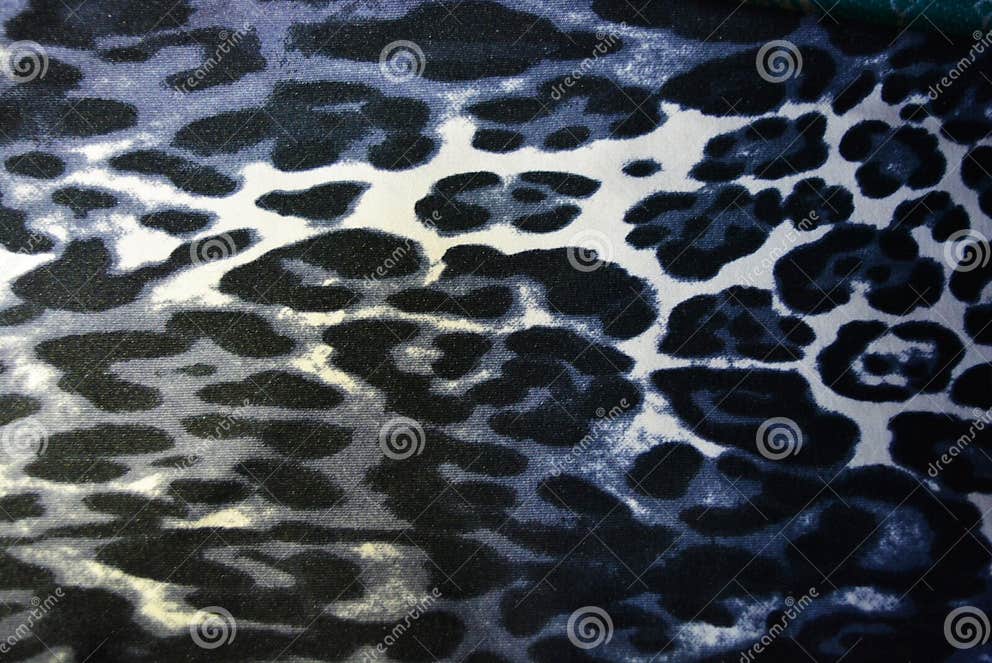 Things, Objects with Unusual. Beautiful Leopard Black and White Spots ...