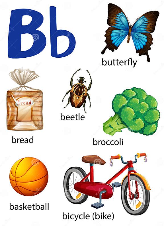 Things that Start with the Letter B Stock Vector - Illustration of ...