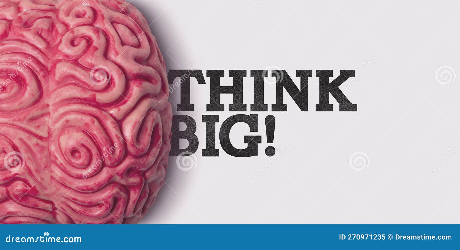 Think Big Word Next To a Human Brain Model Stock Image - Image of mind ...