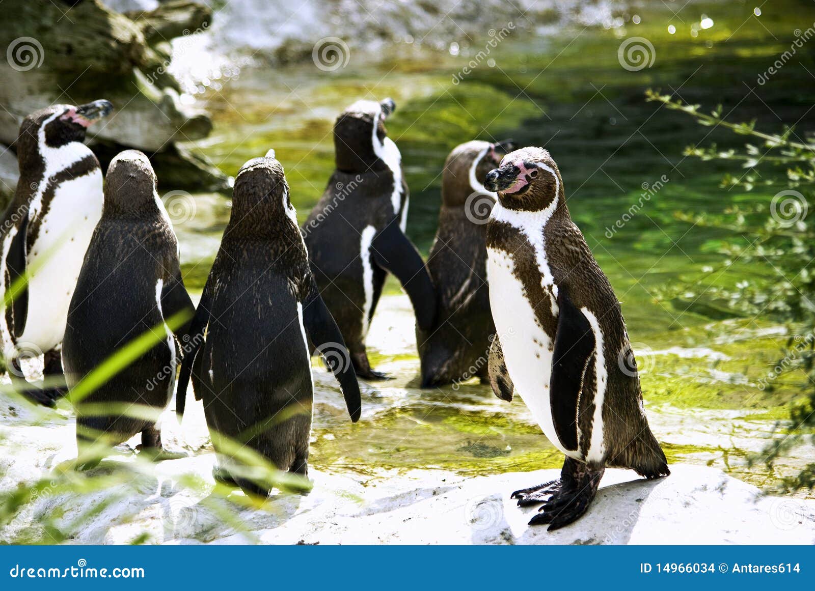 Think different stock photo. Image of individuality, concept - 14966034