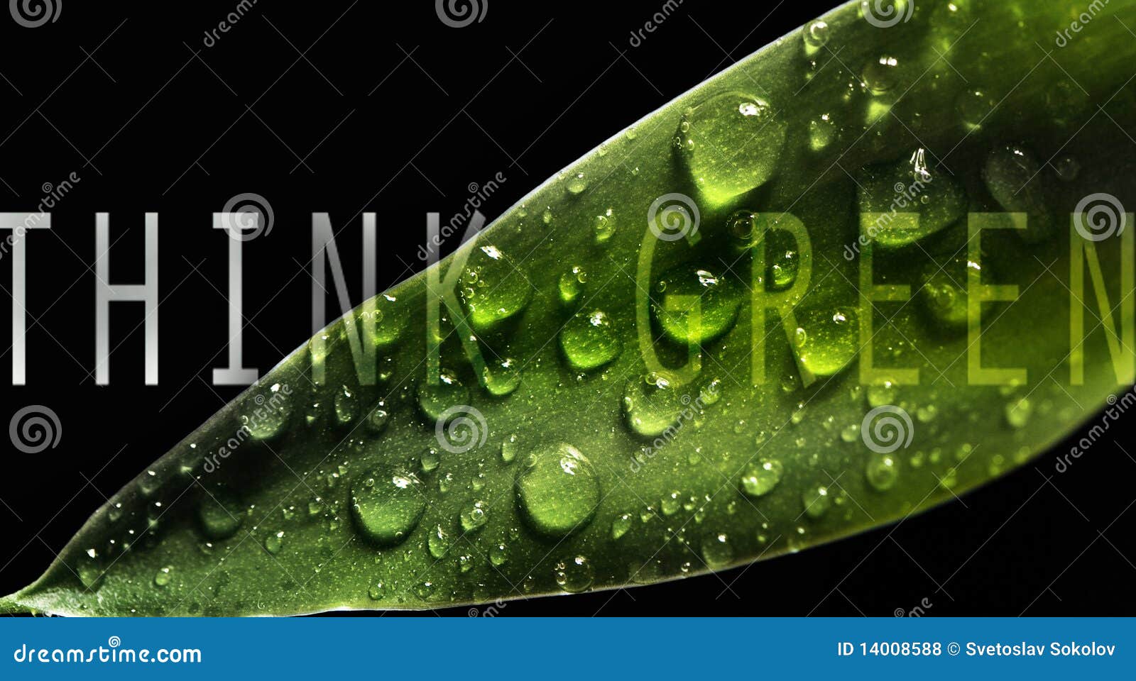 Think green stock photo. Image of drop, symbol, concept - 14008588