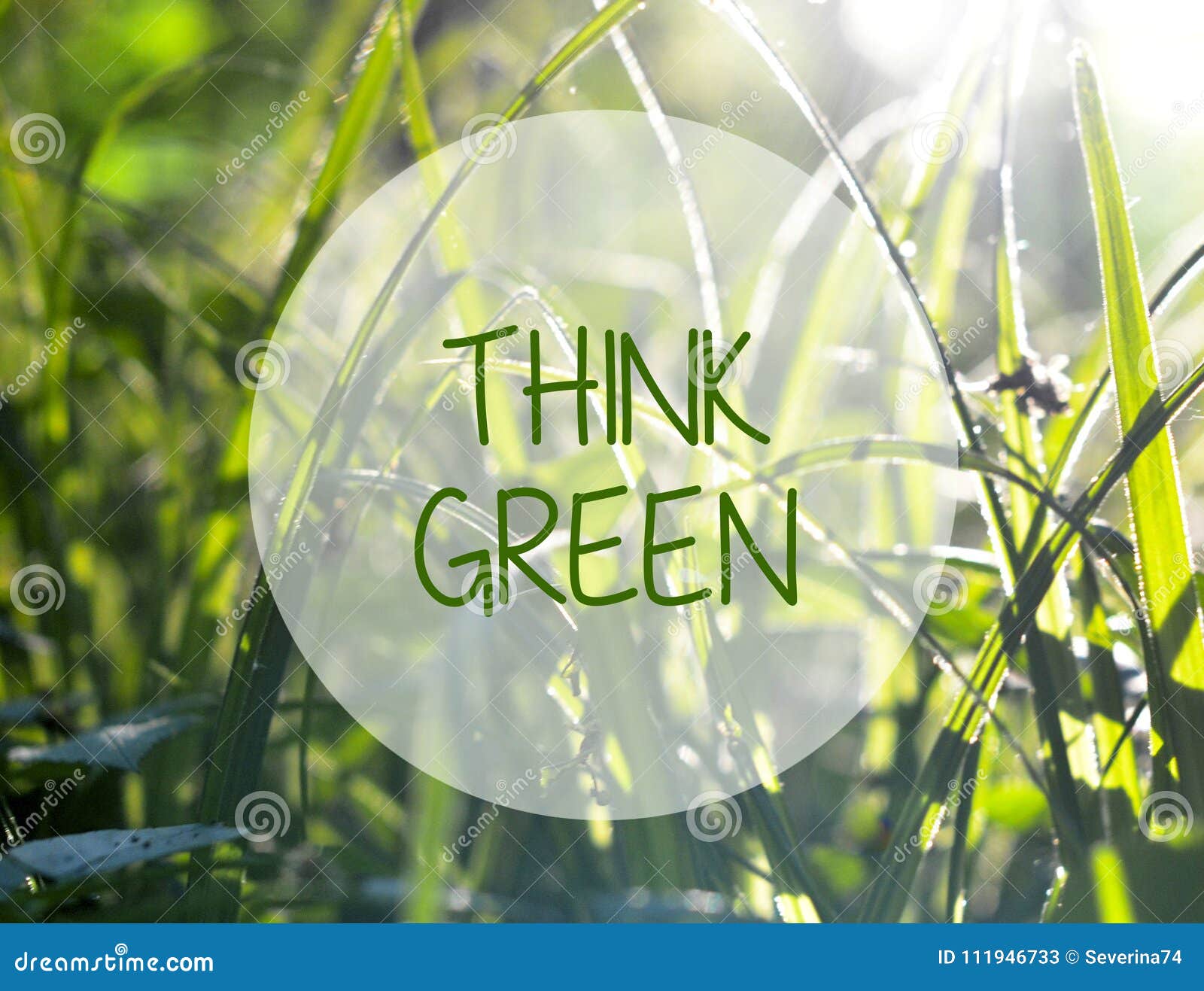 Think Green Ecology Friendly Concept on Natural Green Grass Background ...