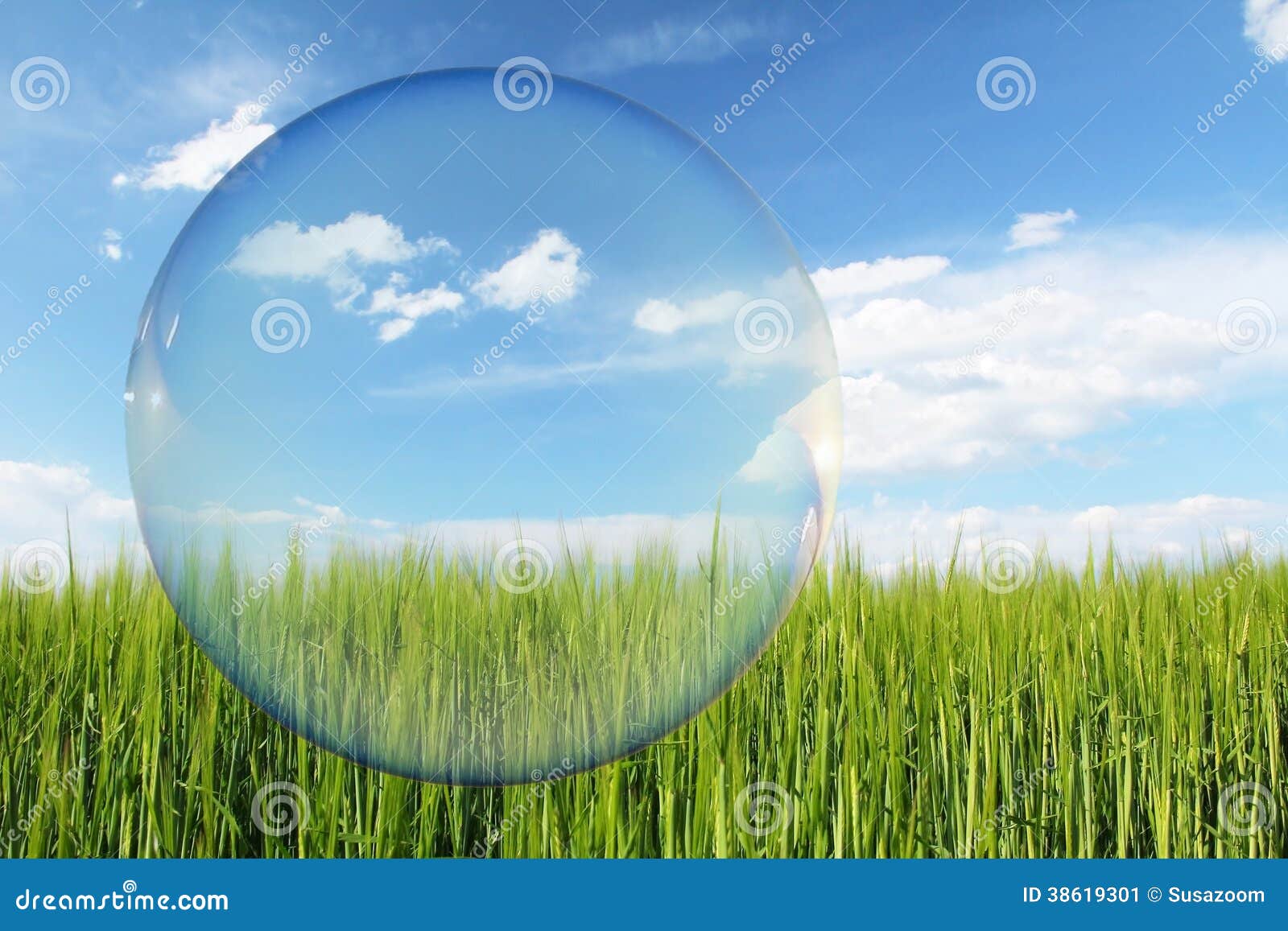 Think Green Label, Green Field and Blue Sky Stock Image - Image of ...