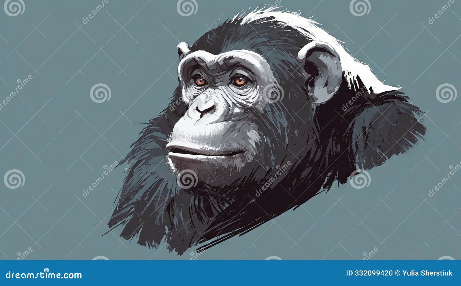 Thinking Chimpanzee Stock Photography | CartoonDealer.com #616634