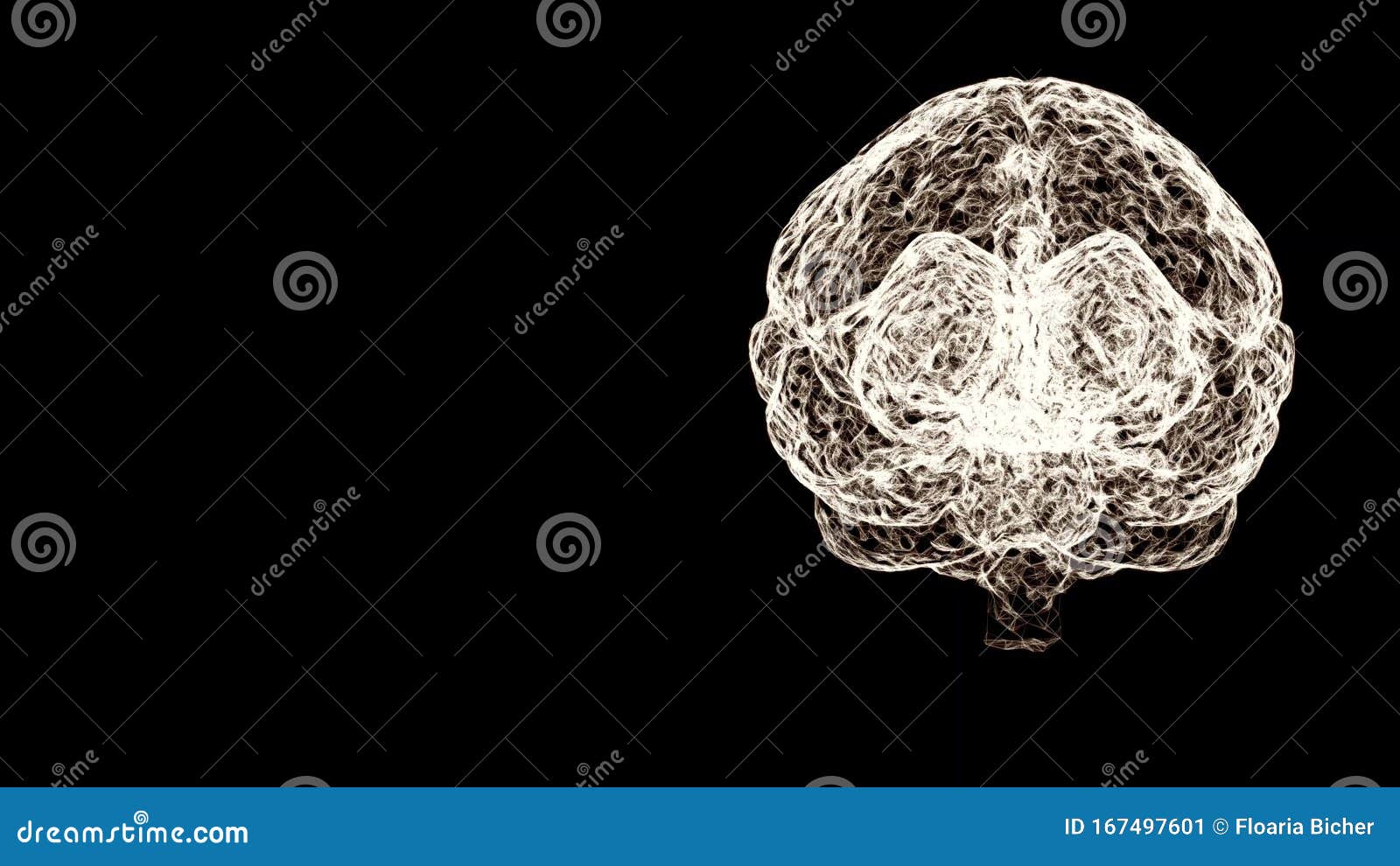 Close Up Video of Human Brain Looking To Be Formed of Spider Web ...