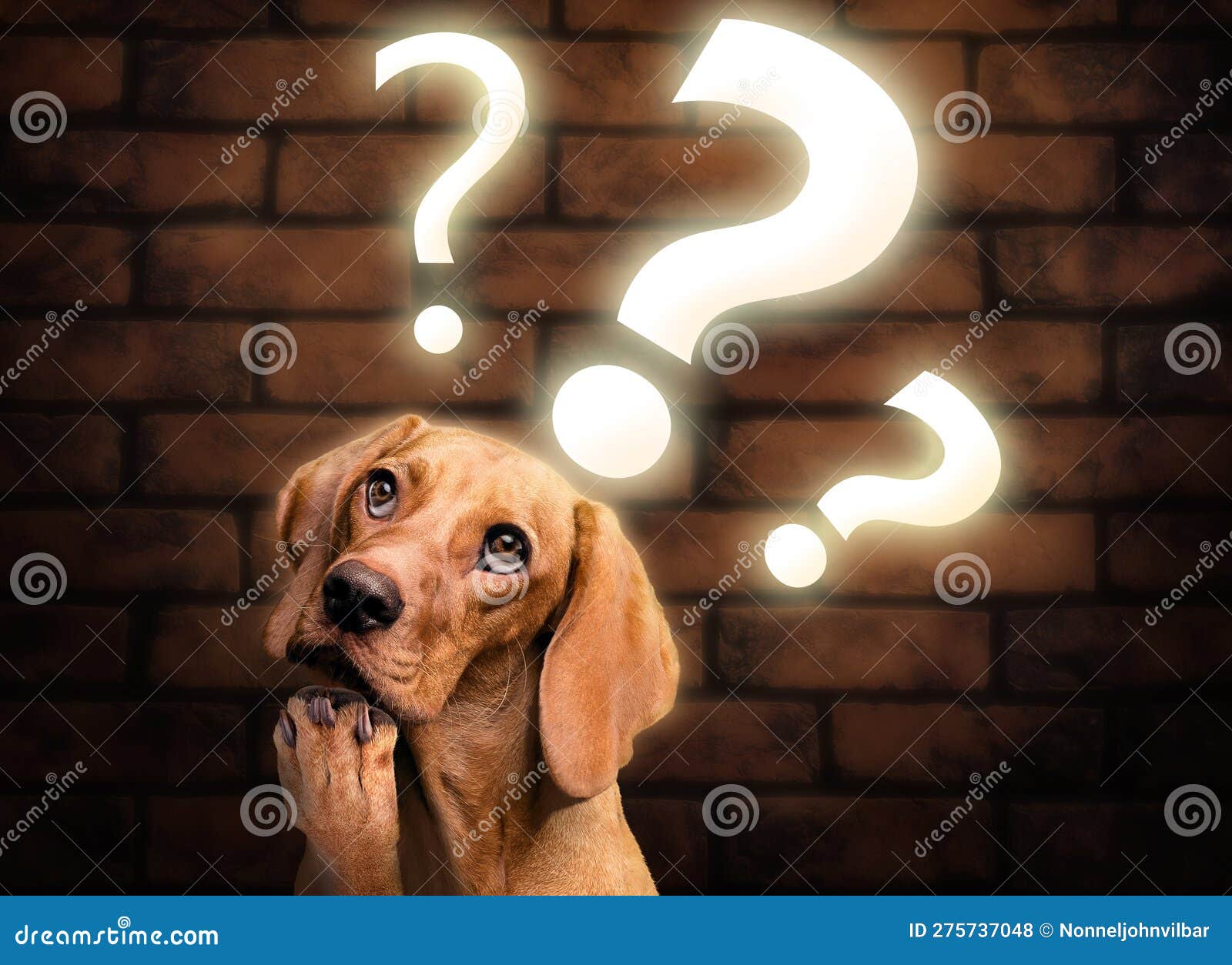 Thinking Dog with Question Mark Lights Stock Illustration ...