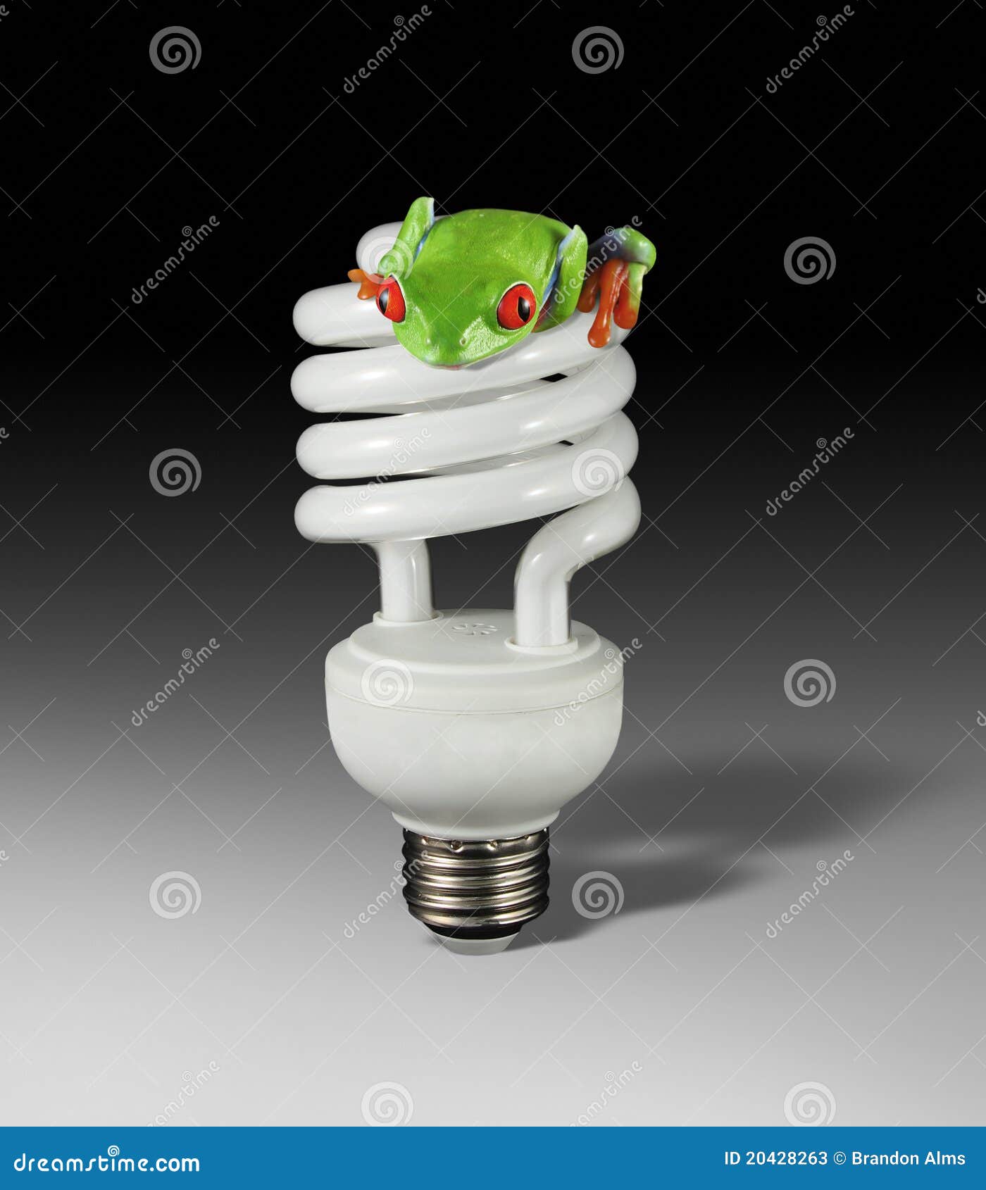 Thinking Green stock image. Image of ecology, efficient - 20428263