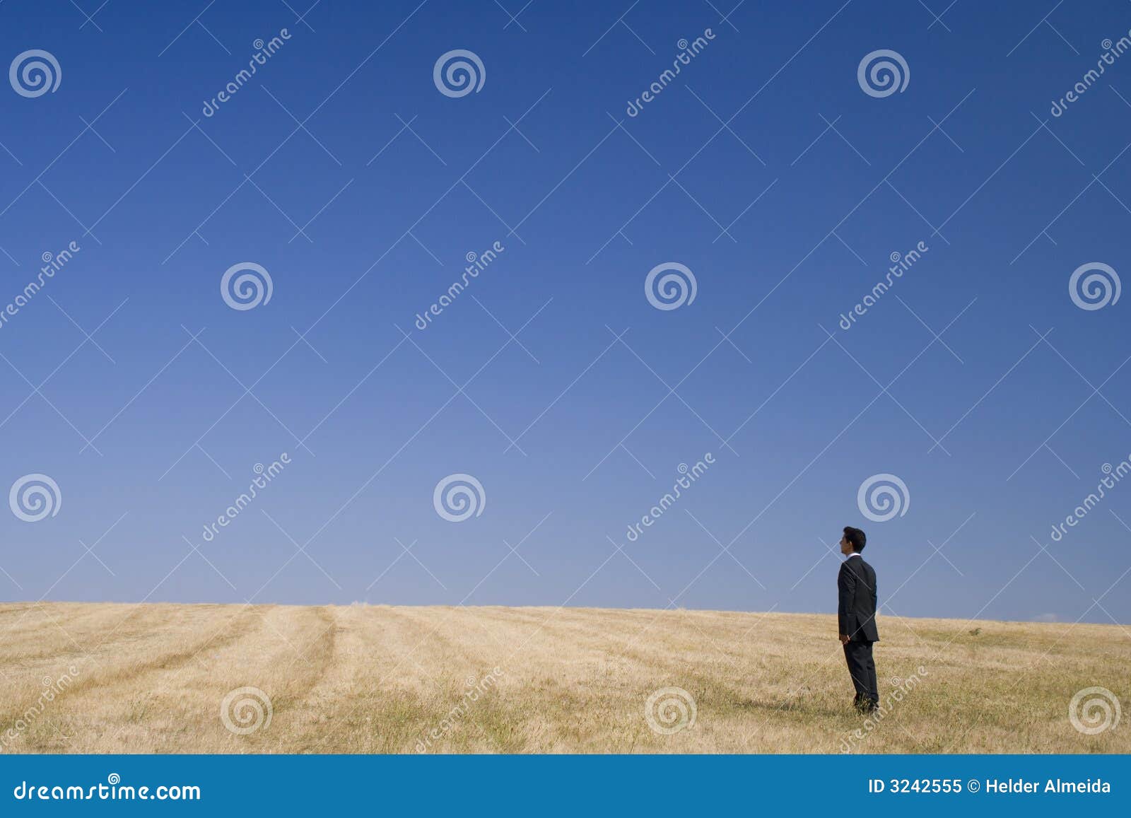 Thinking in nature stock image. Image of adults, businesspeople - 3242555