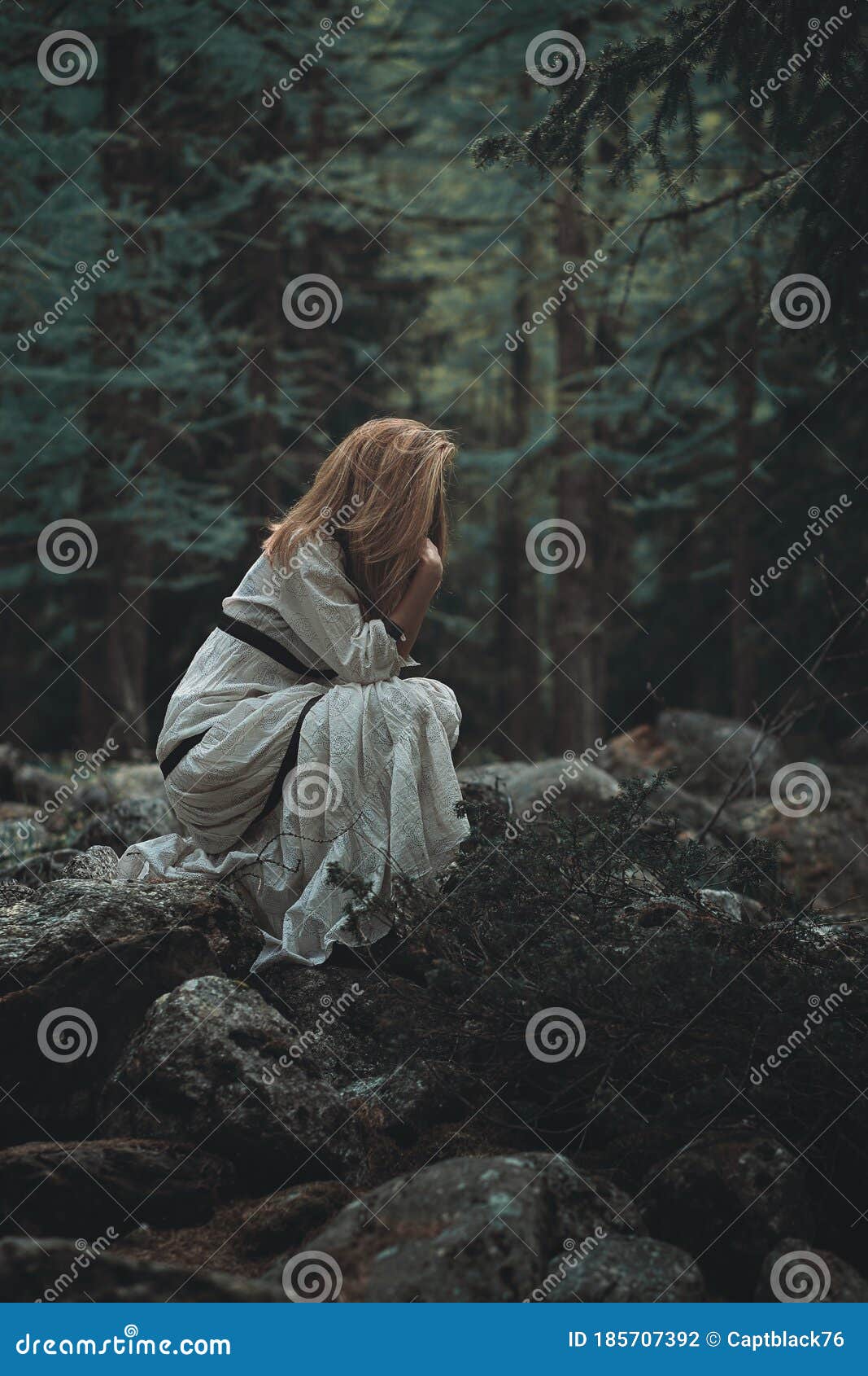 Thinking among the trees stock photo. Image of forest - 185707392 Thinking among the trees stock photo. Image of forest - 185707392