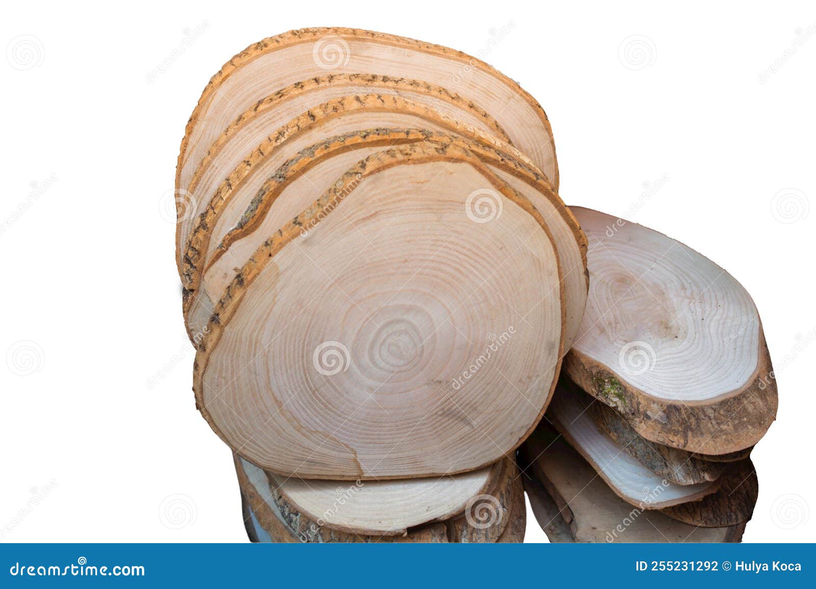 Thinly Cut Wooden Round Pieces for Decoration Stock Photo - Image of ...