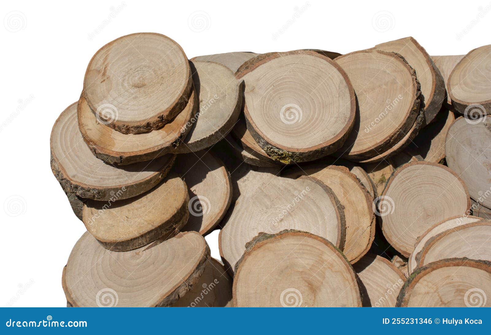 Thinly Cut Wooden Round Pieces for Decoration Stock Photo - Image of ...