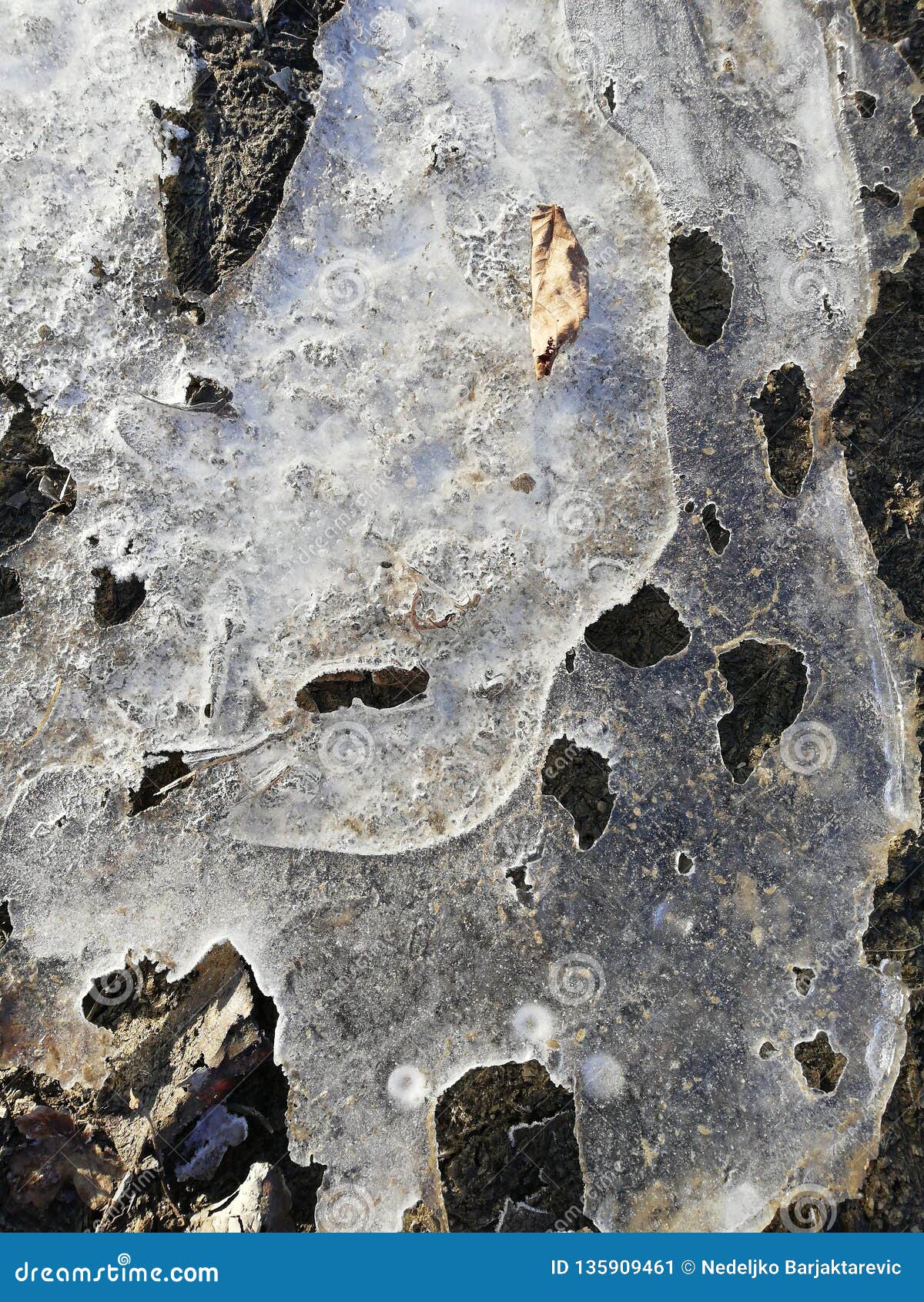 Various Details of the Surface Ice Stock Image - Image of winter ...